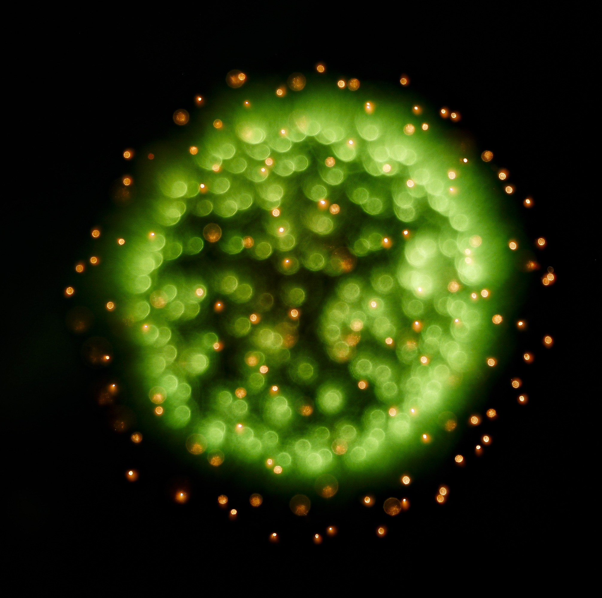 Funky fireworks display dazzles over Manlius - syracuse.com