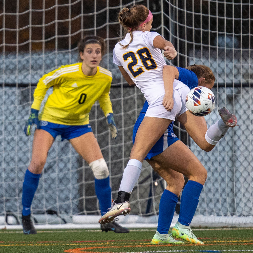 Lower Dauphin wins first D3, 3A girls soccer championship - pennlive.com