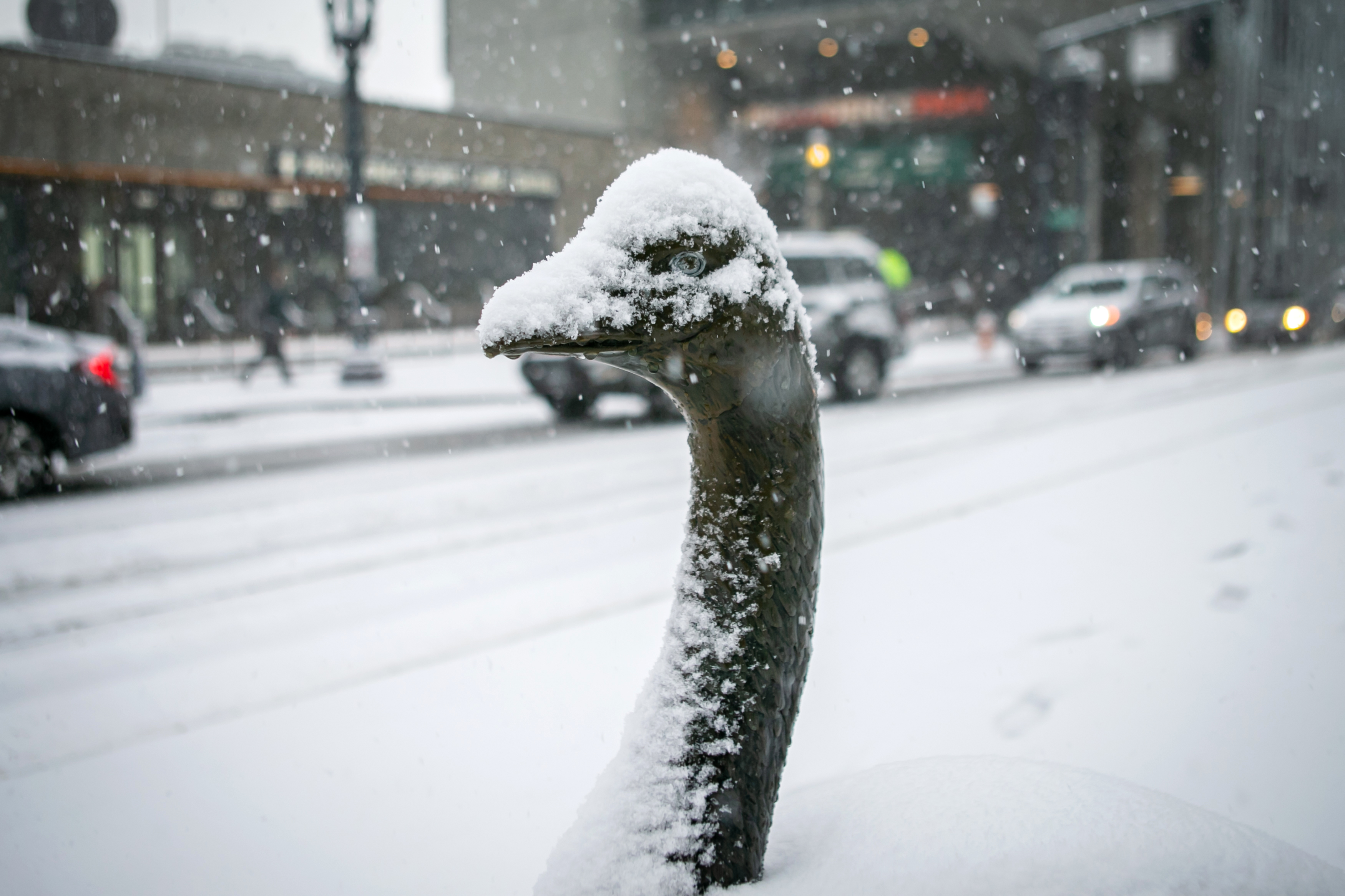 Portland snow - Feb. 22, 2023 - oregonlive.com