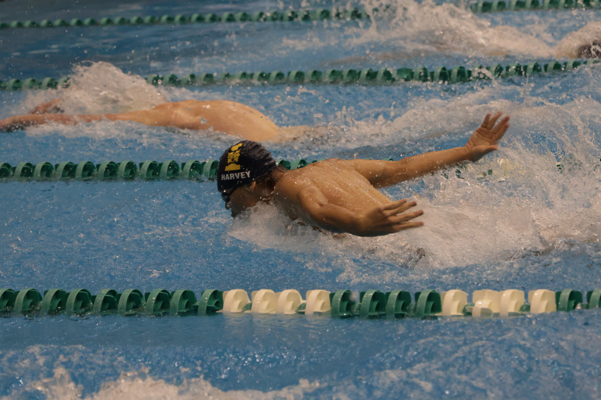 49th Viking Invitational Swim Meet at CSU - cleveland.com