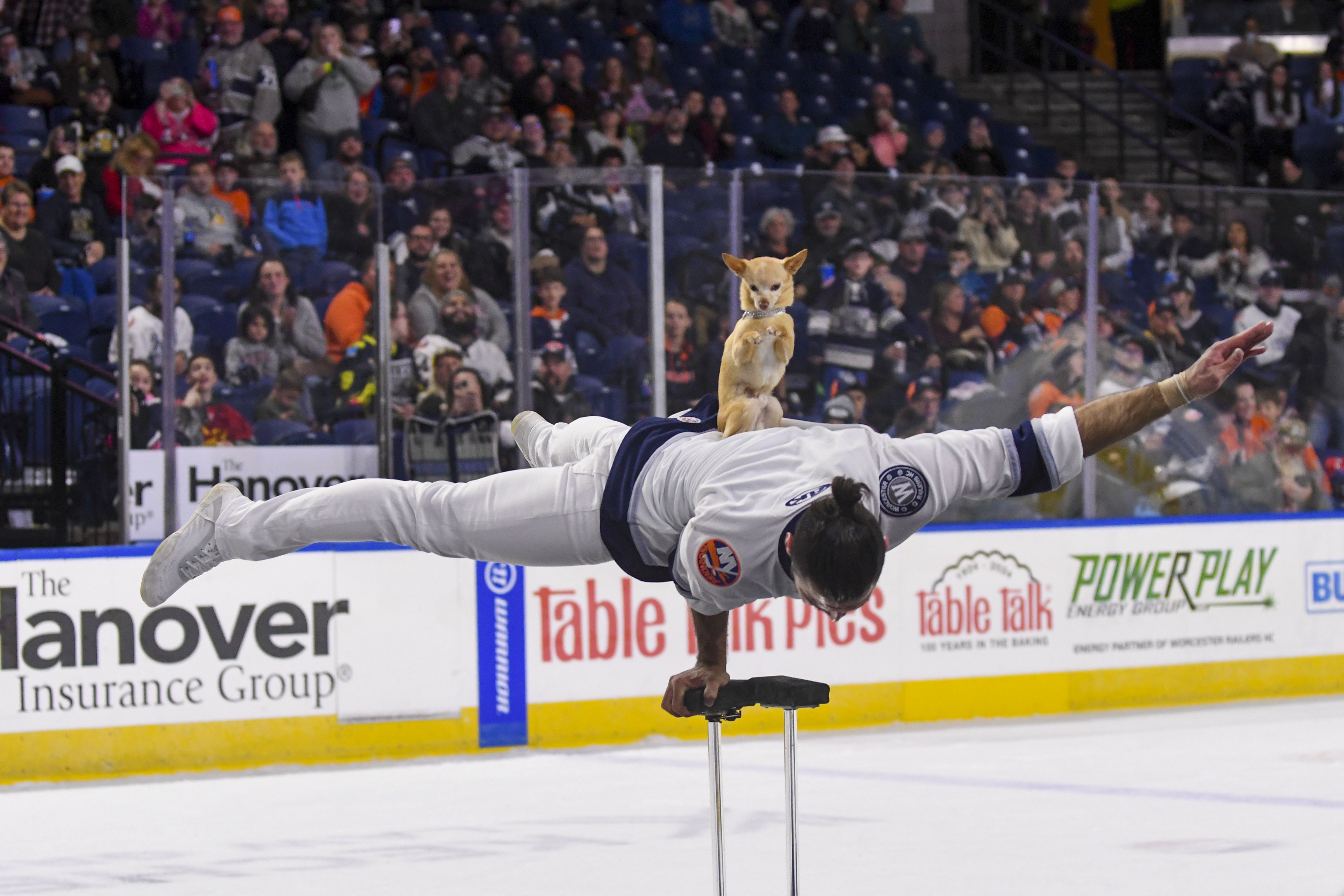 Worcester Railers 2023-24 Home Opener Hockey - masslive.com