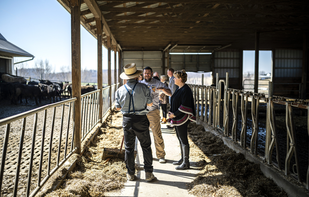 Lancaster County farm raises cattle for Karns Quality Foods - pennlive.com
