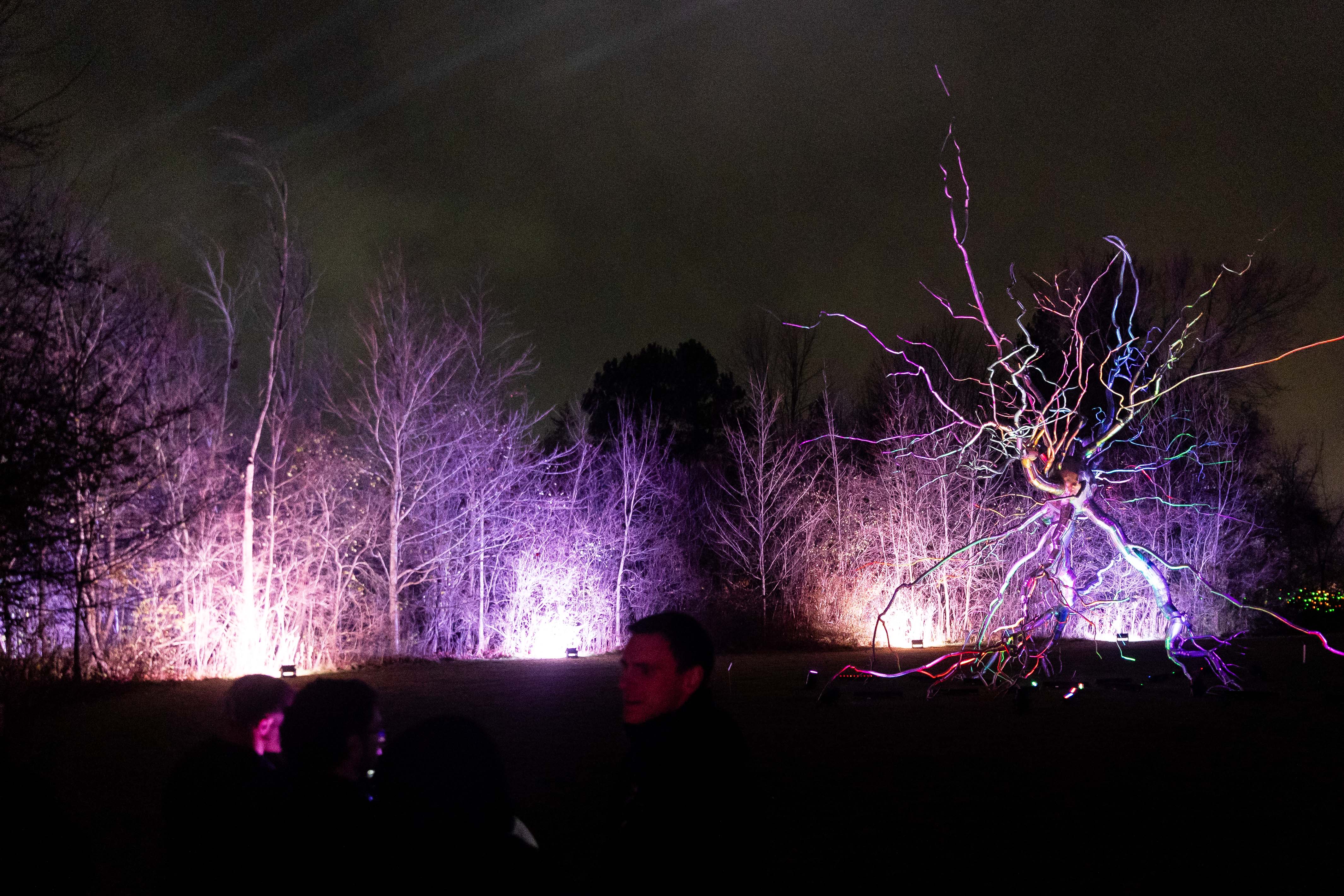 Interactive light display "ENLIGHTEN" introduced at Meijer Gardens ...