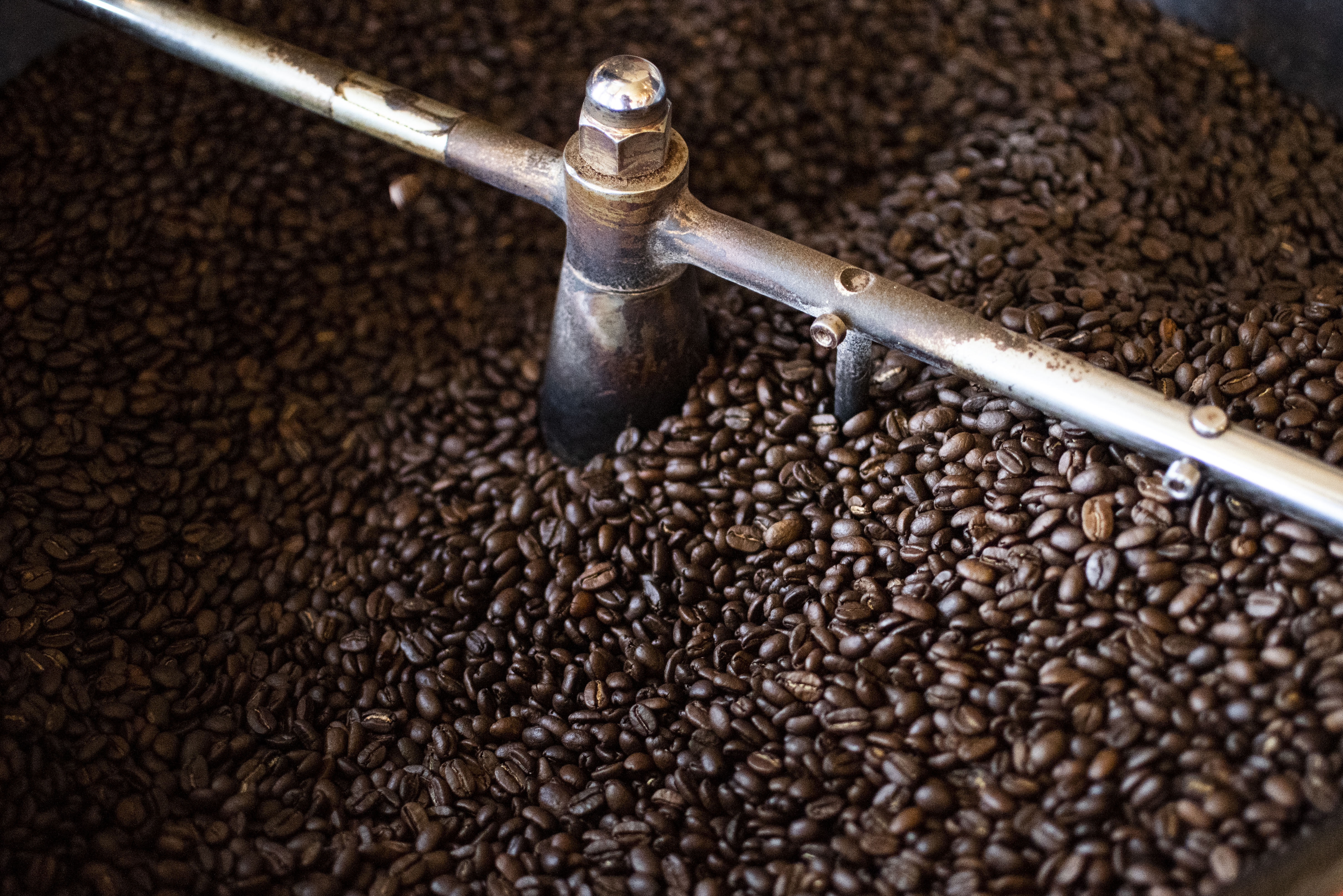 Michigan's Best Local Eats: Jackson Coffee Co. - mlive.com