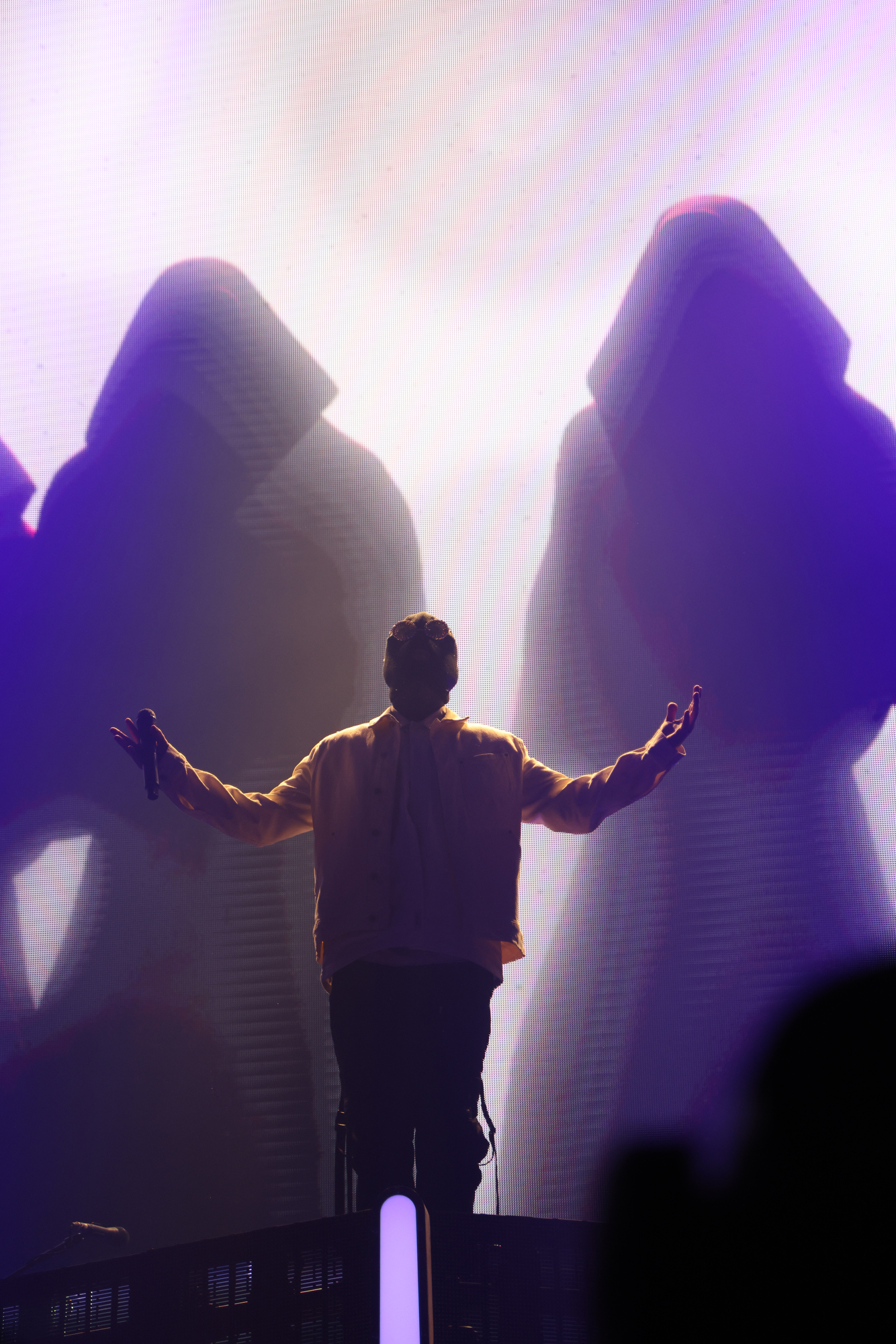 Twenty One Pilots: The Icy Tour stops in Cleveland - cleveland.com