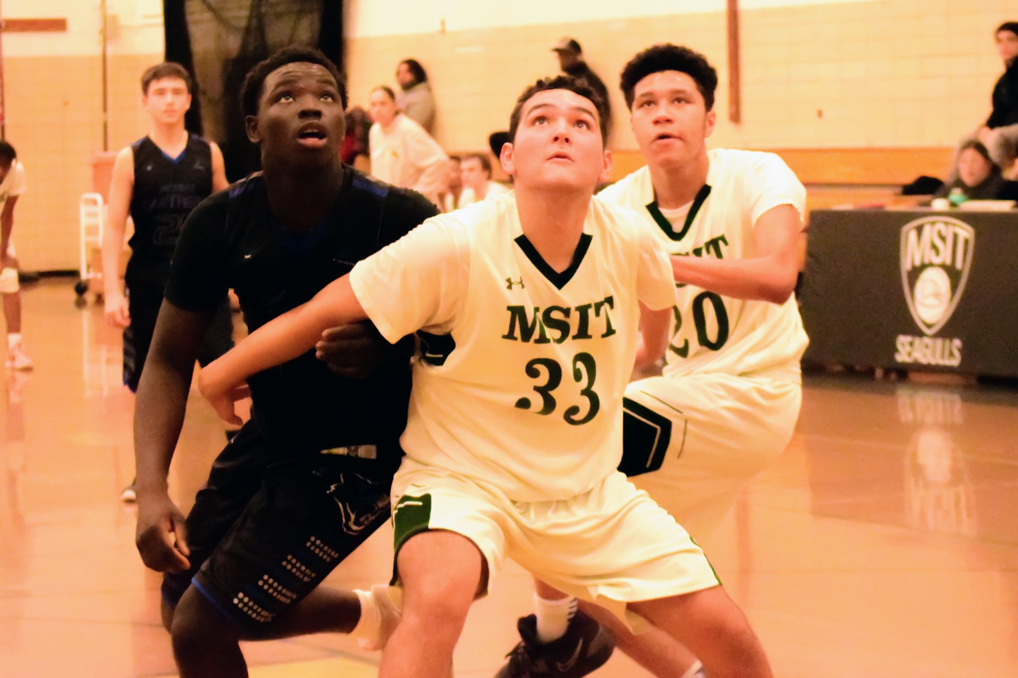 MSIT JV upends Petrides - silive.com