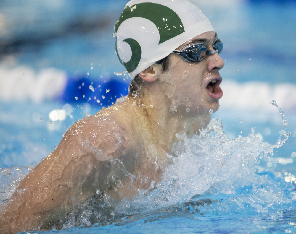 Tri swim meet draws CD, CD East and LD in Carlisle - pennlive.com