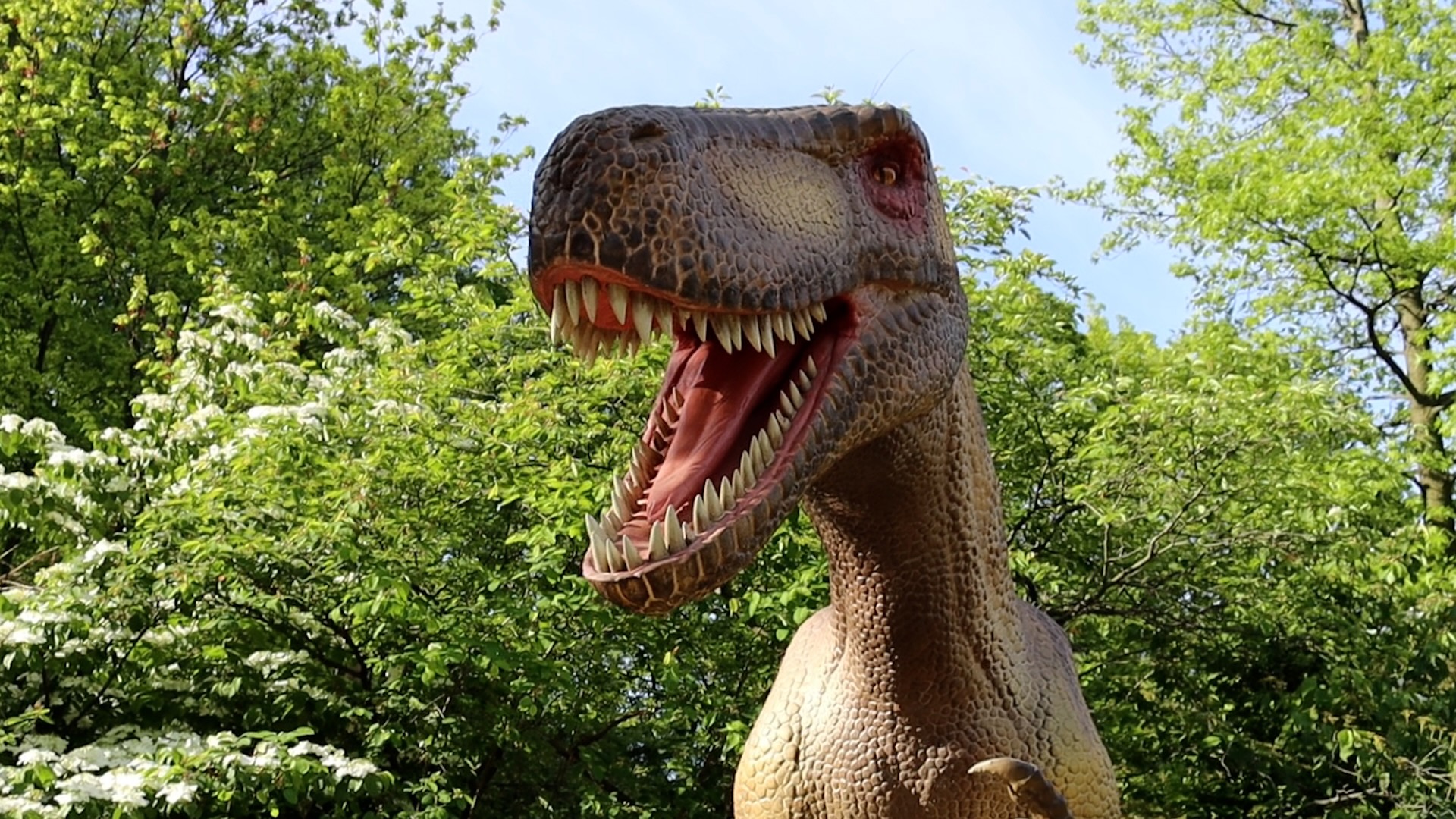 Philadelphia Zoo Staying Power: Be Distinct or Go Extinct - pennlive.com