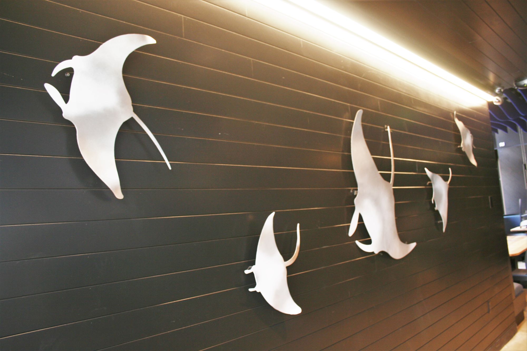 Goma - cleveland.com