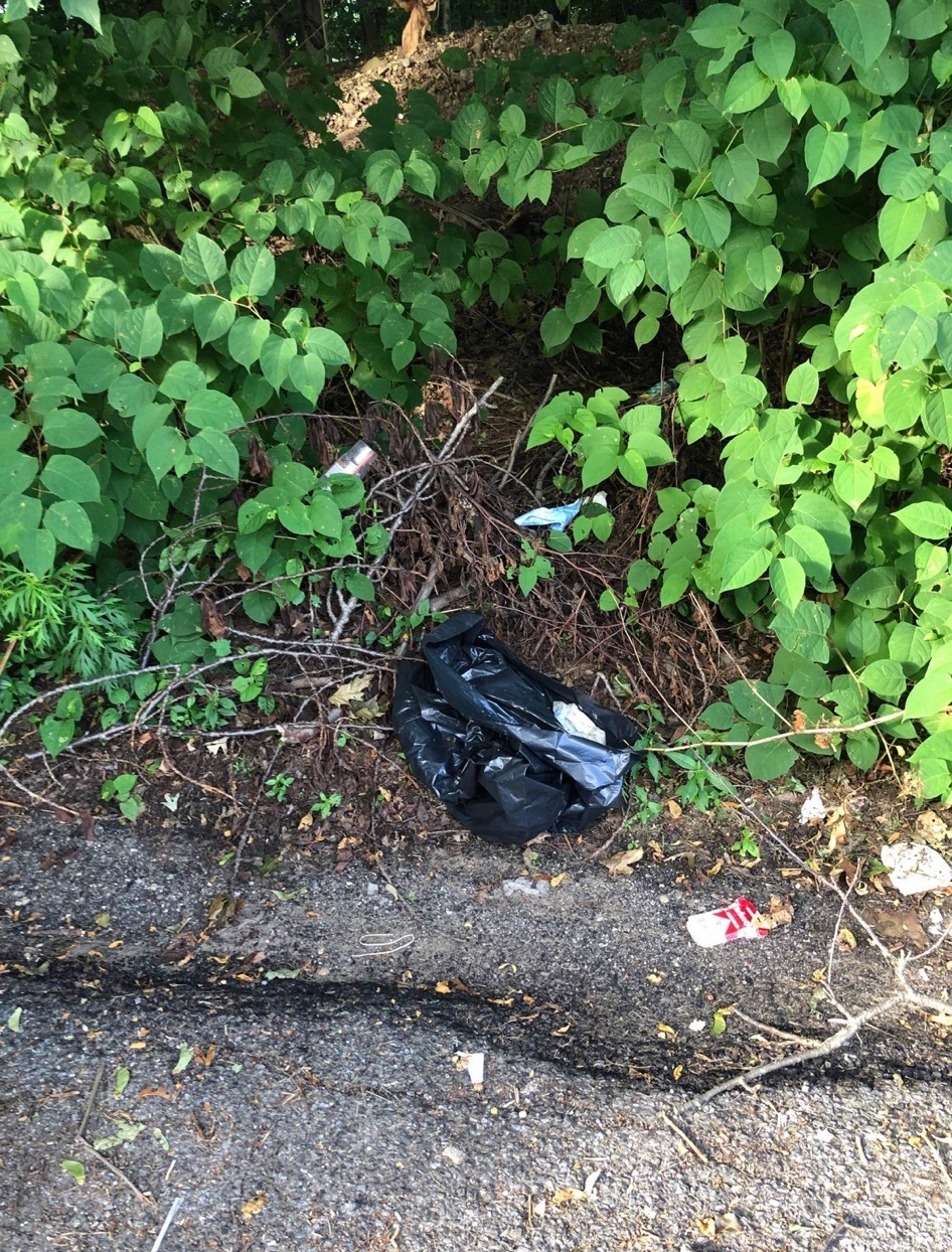 Illegal dumping on Nome Avenue - silive.com