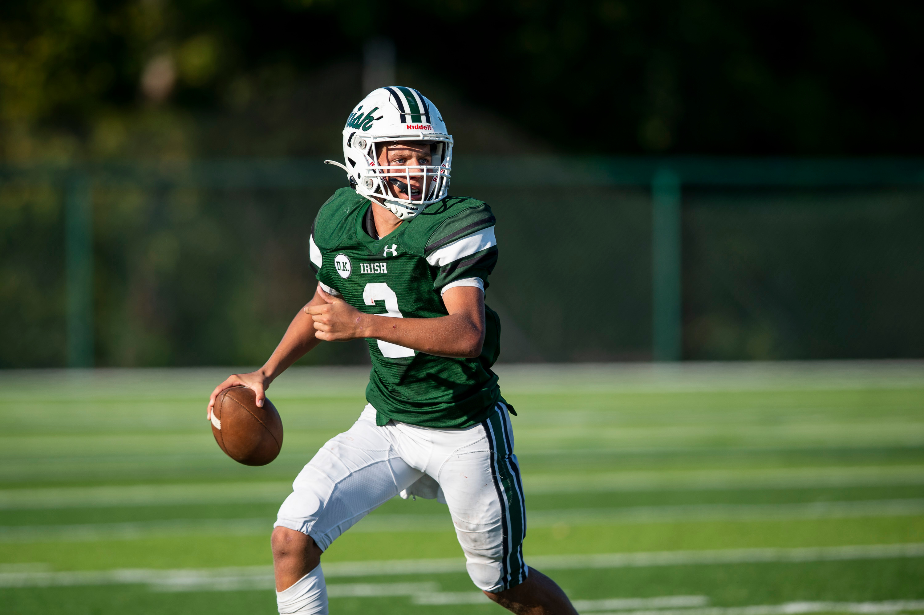 Ann Arbor Father Gabriel Richard vs. Paw Paw high school football ...