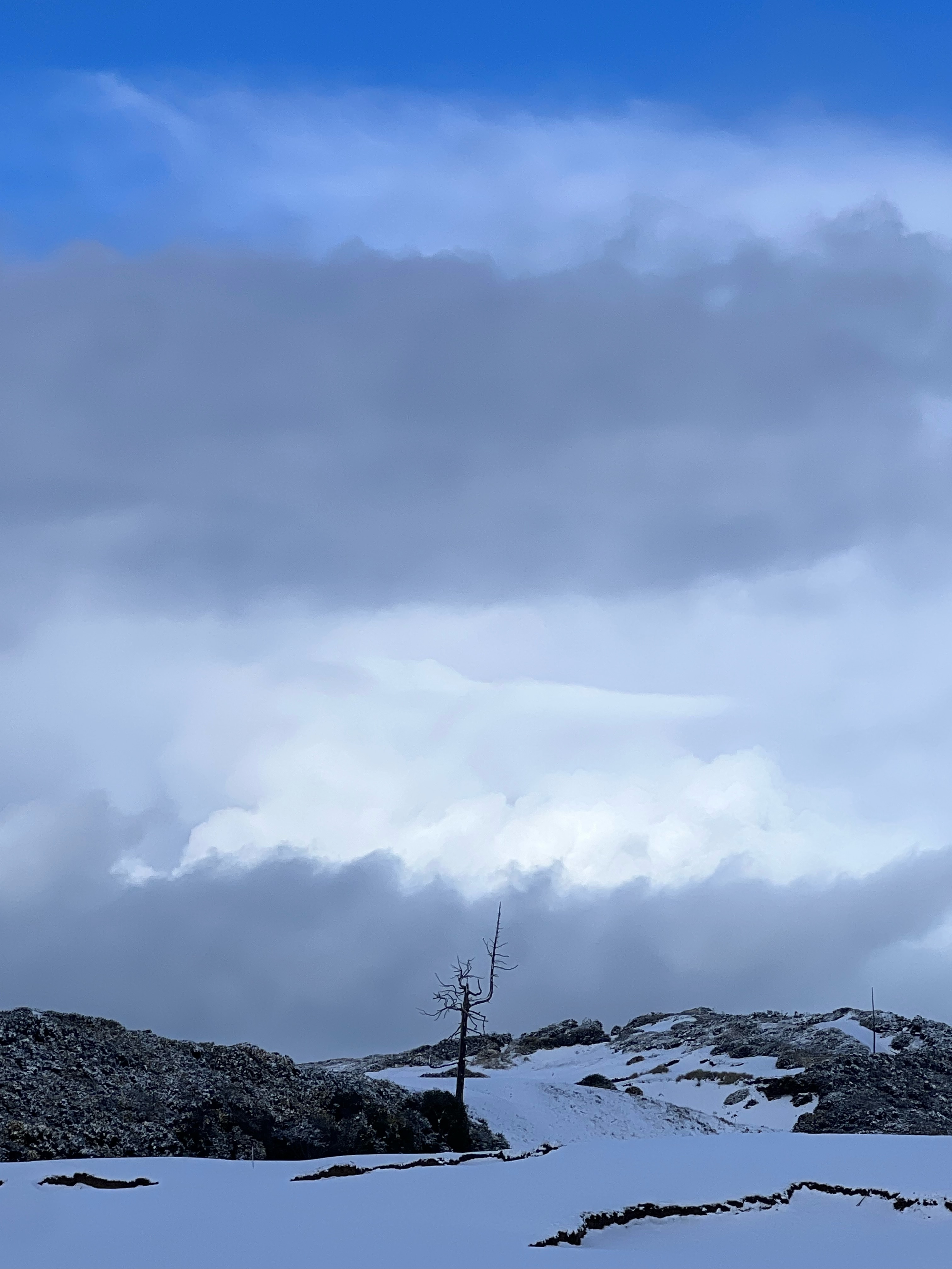 Rare snowfall hits Oregon coast - oregonlive.com