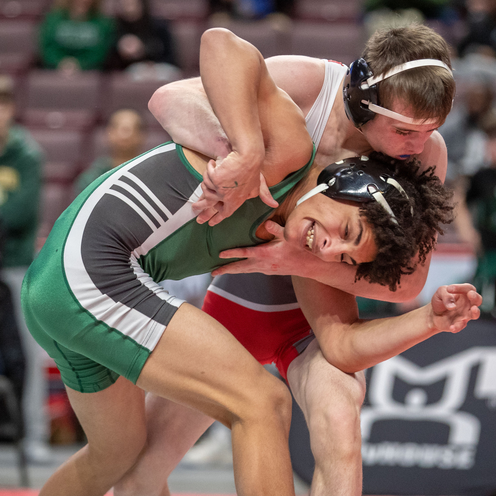 Central Dauphin advances in the 2022 PIAA 3A team wrestling ...