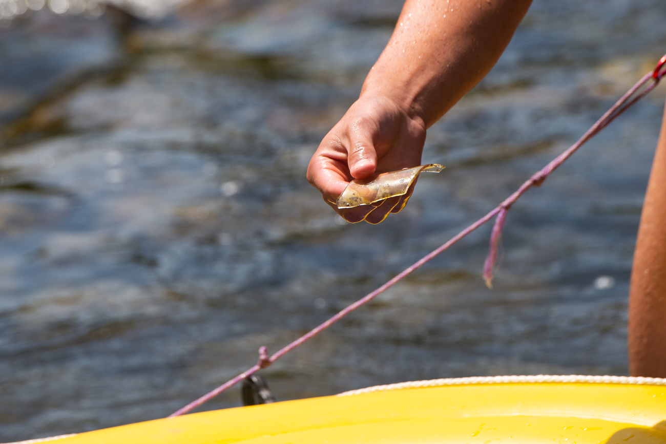 Dexter water polo player who made national team dives to clean Huron ...