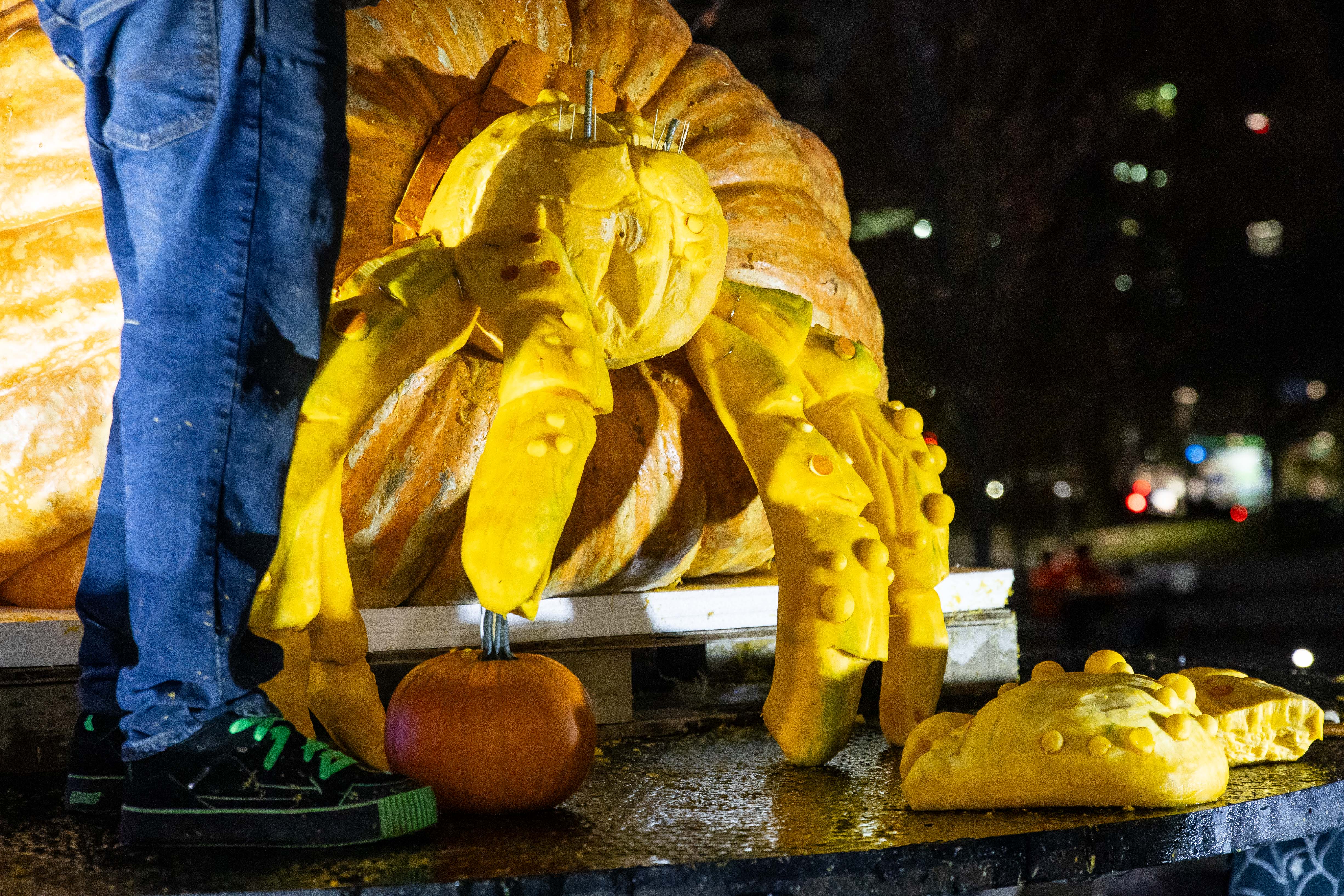 1,500-pound pumpkin becomes gourd-eous hermit crab for Halloween ...