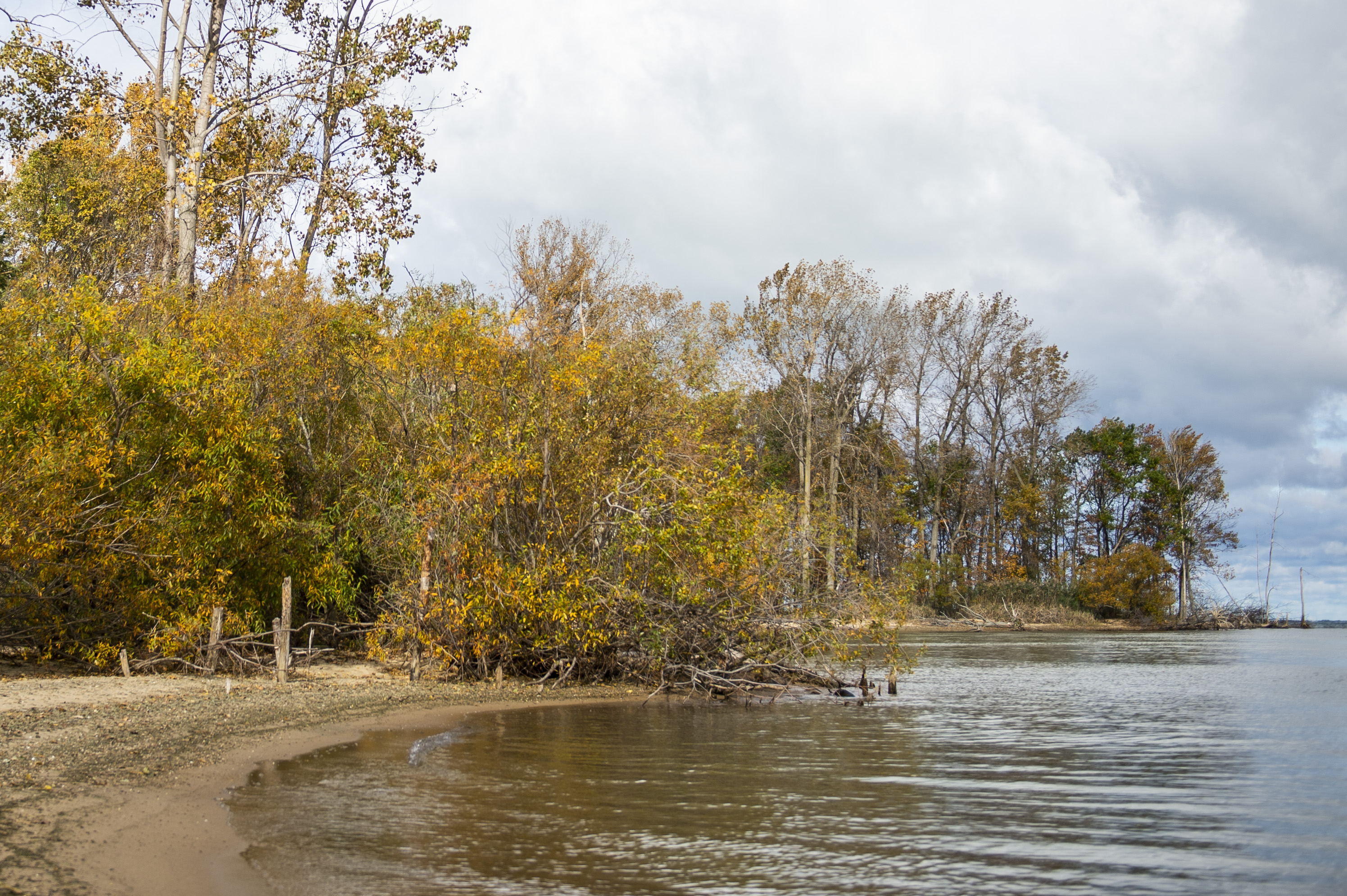 Catch fall colors along Lake Huron as winter approaches - mlive.com