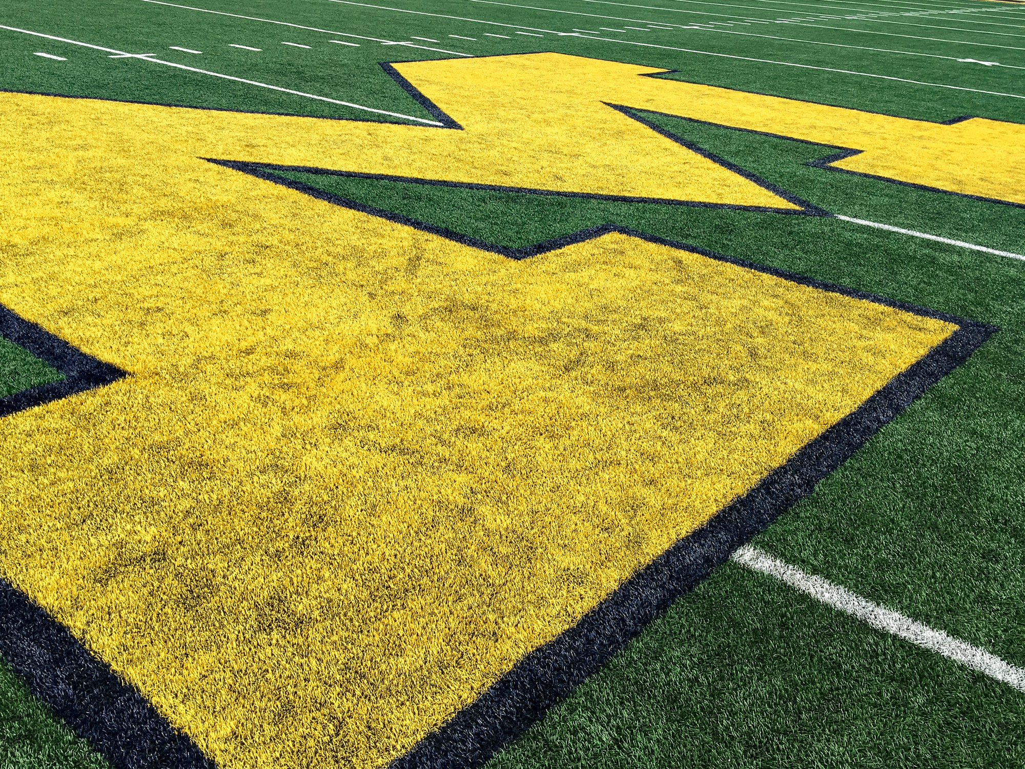 Michigan & Detroit Sports - MLive.com