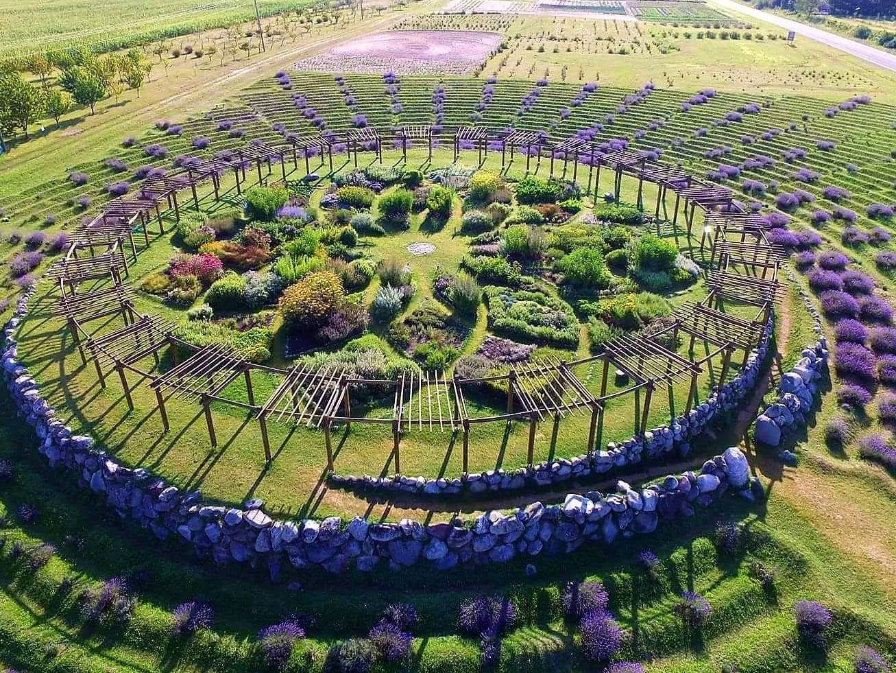 Lavender labyrinth is surprising treat at Michigan road-side market ...