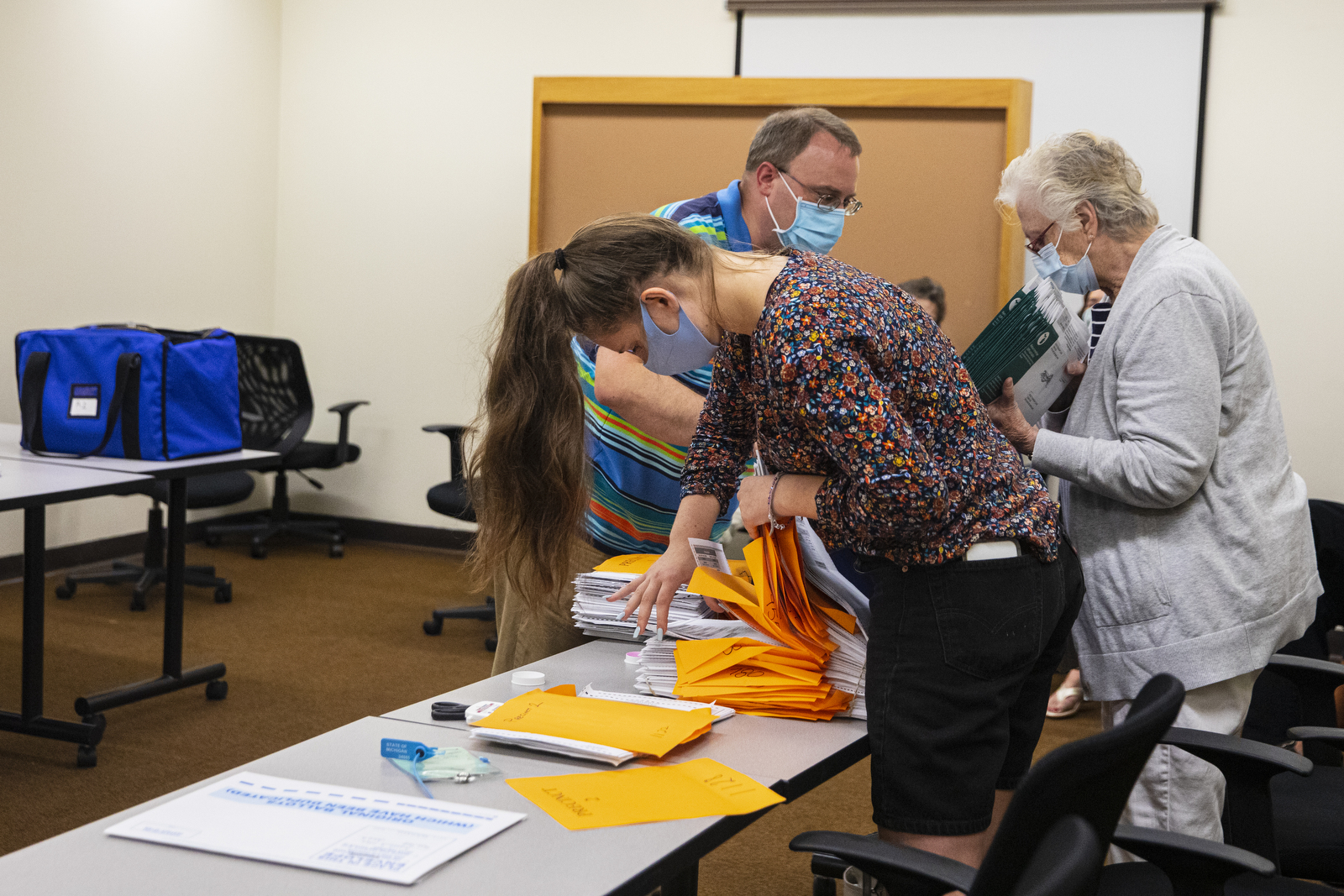 Votes recounted in 6 Kalamazoo County primary election races - mlive.com