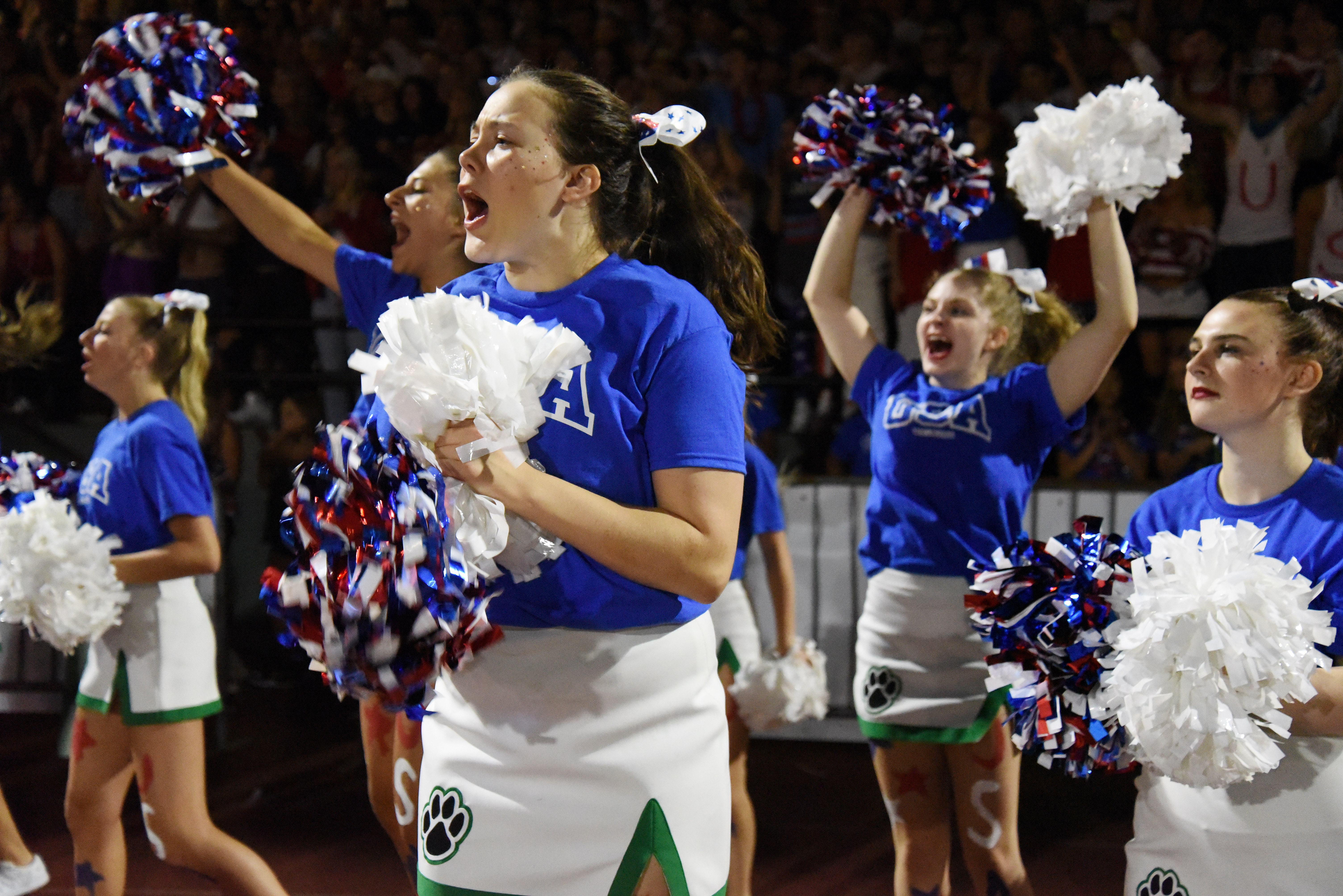 West Linn Lions vs Sheldon Irish football - oregonlive.com