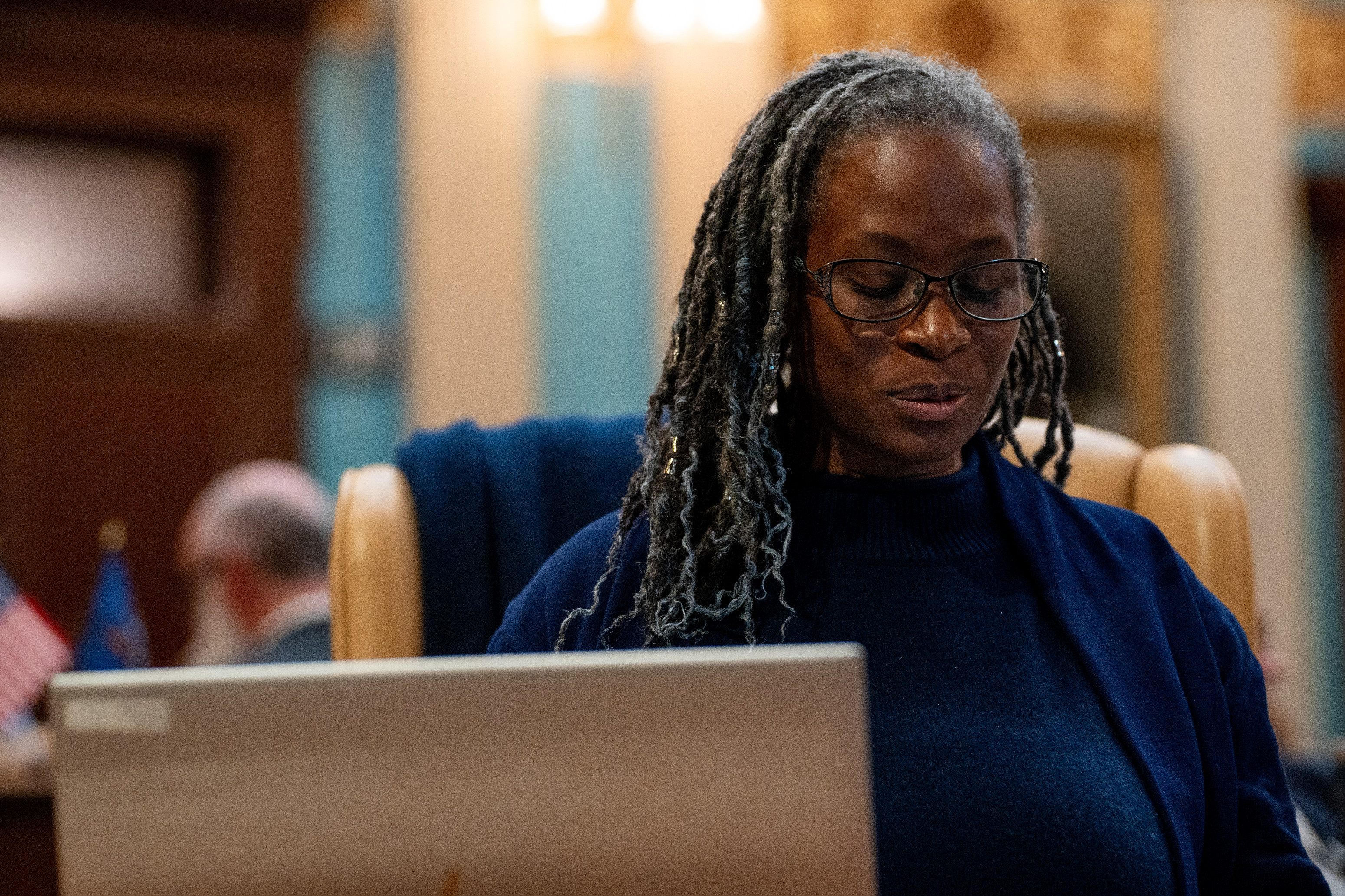 Senator Geiss helps Momnibus Bill Package through Senate - mlive.com