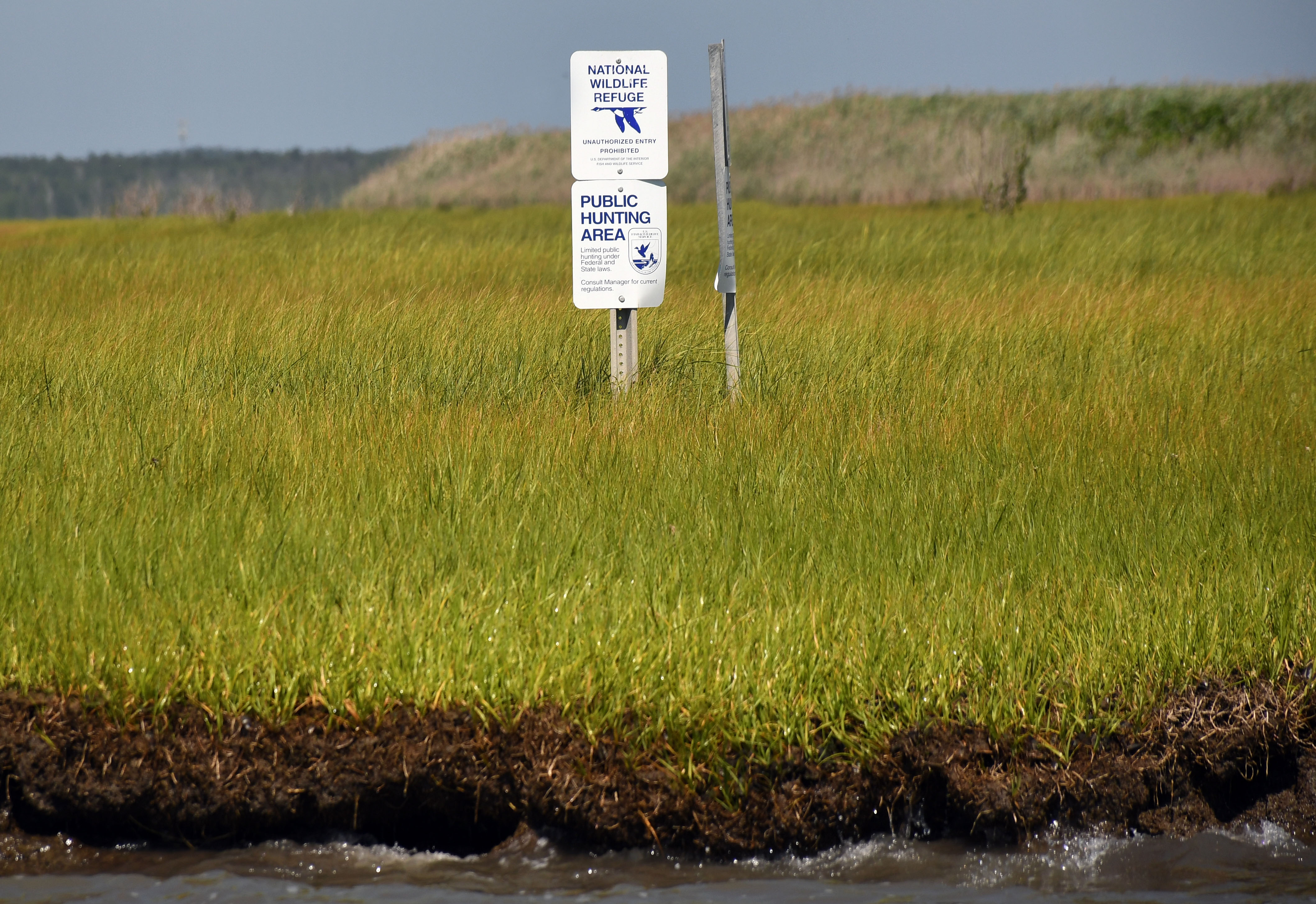 Legal fight over state-proposed dredge dump site in wetland - nj.com