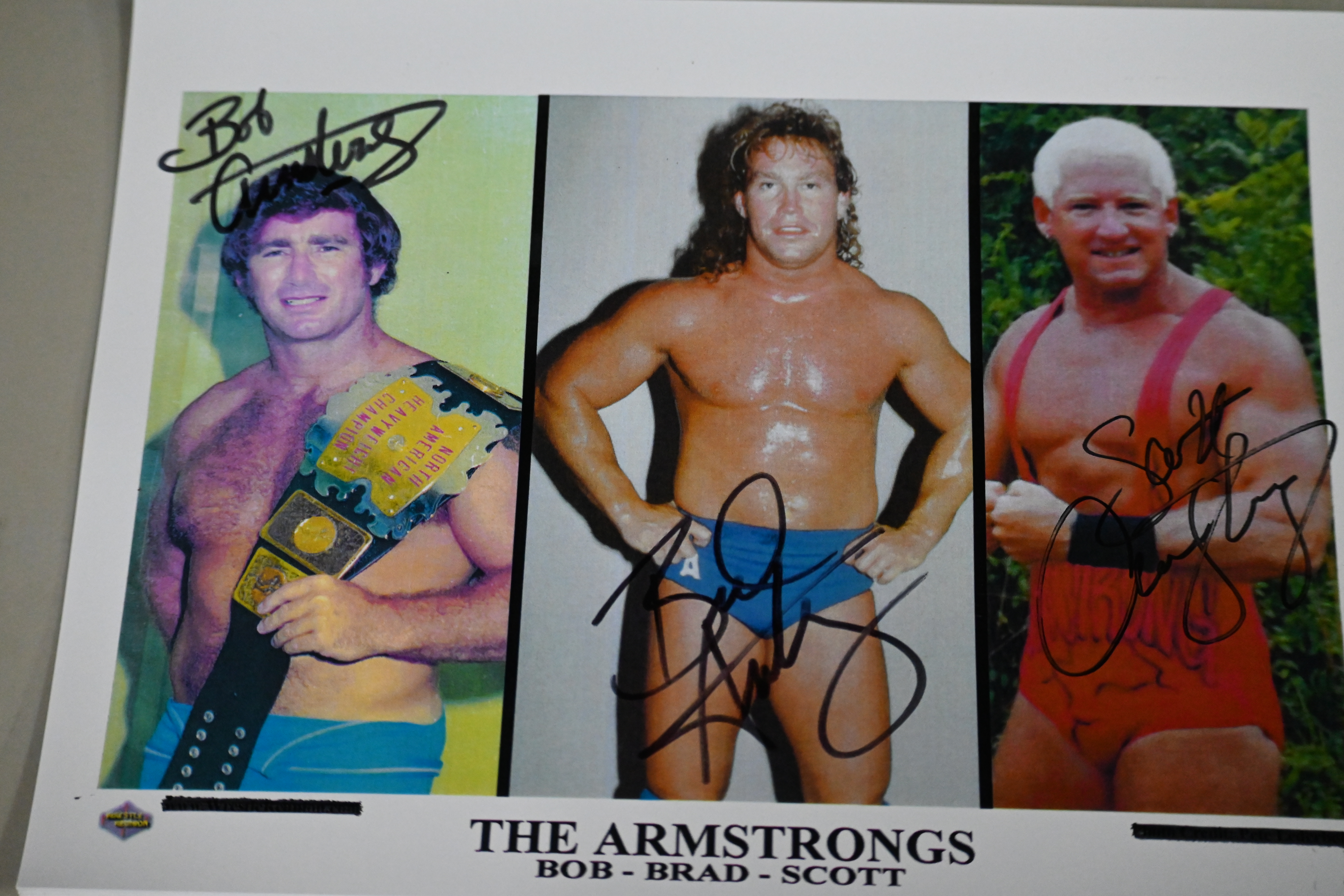 "Bullet" Bob Armstrong Memorial Arena - al.com