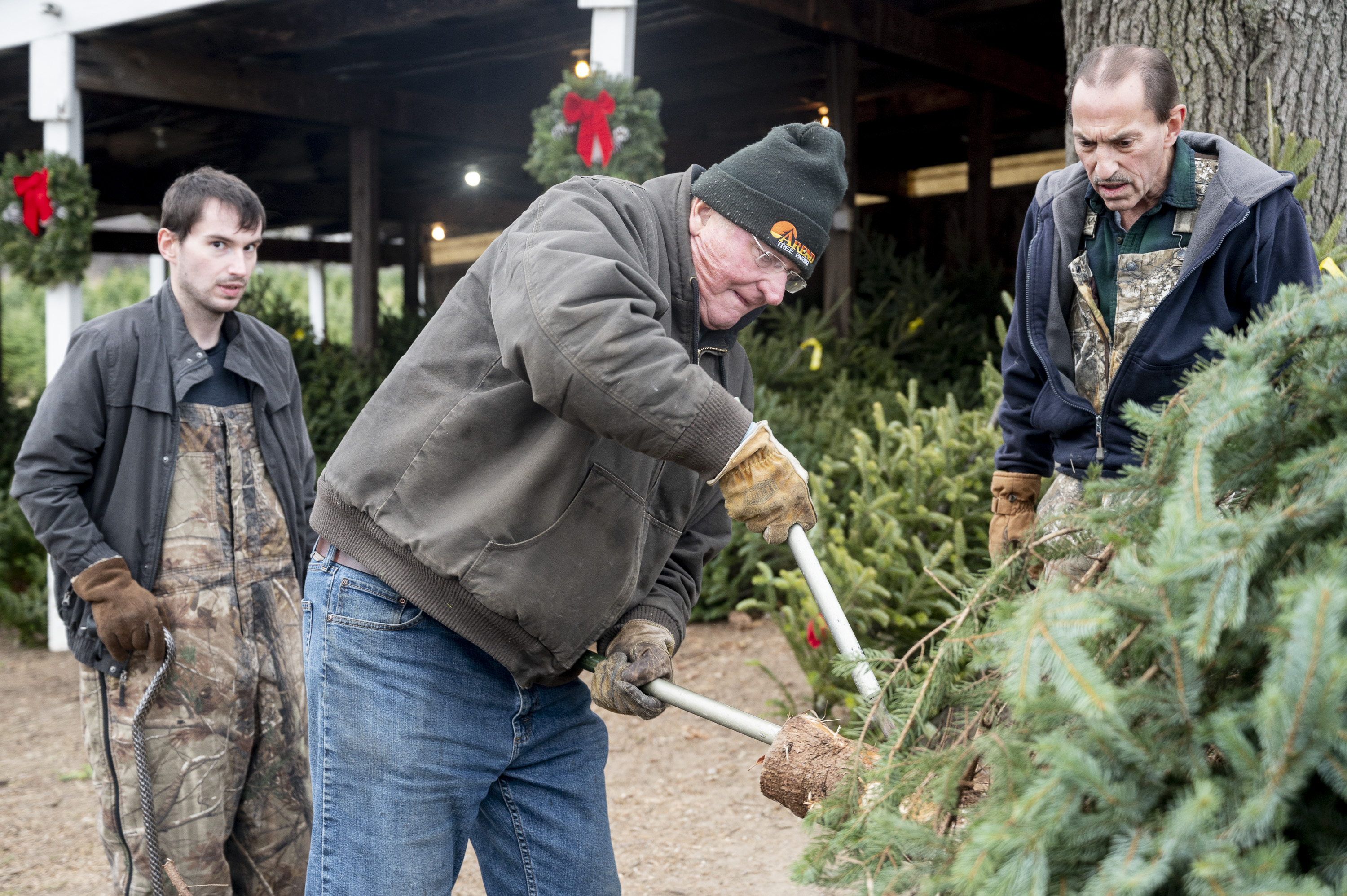 Arend Tree Farm continues four-generation tradition of Christmas U-Cut ...