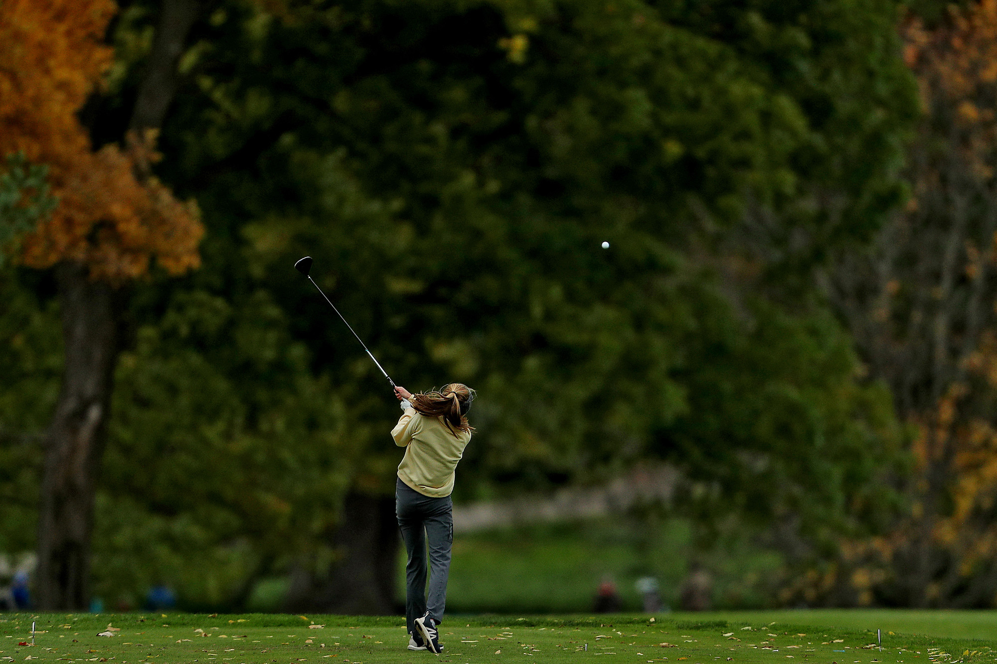 MHSAA Girls Golf Finals – October 17, 2020 - mlive.com