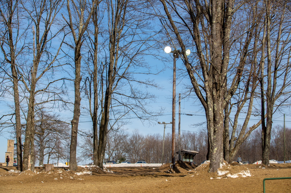 Punxsutawney celebrates during Groundhog Day (week) - pennlive.com