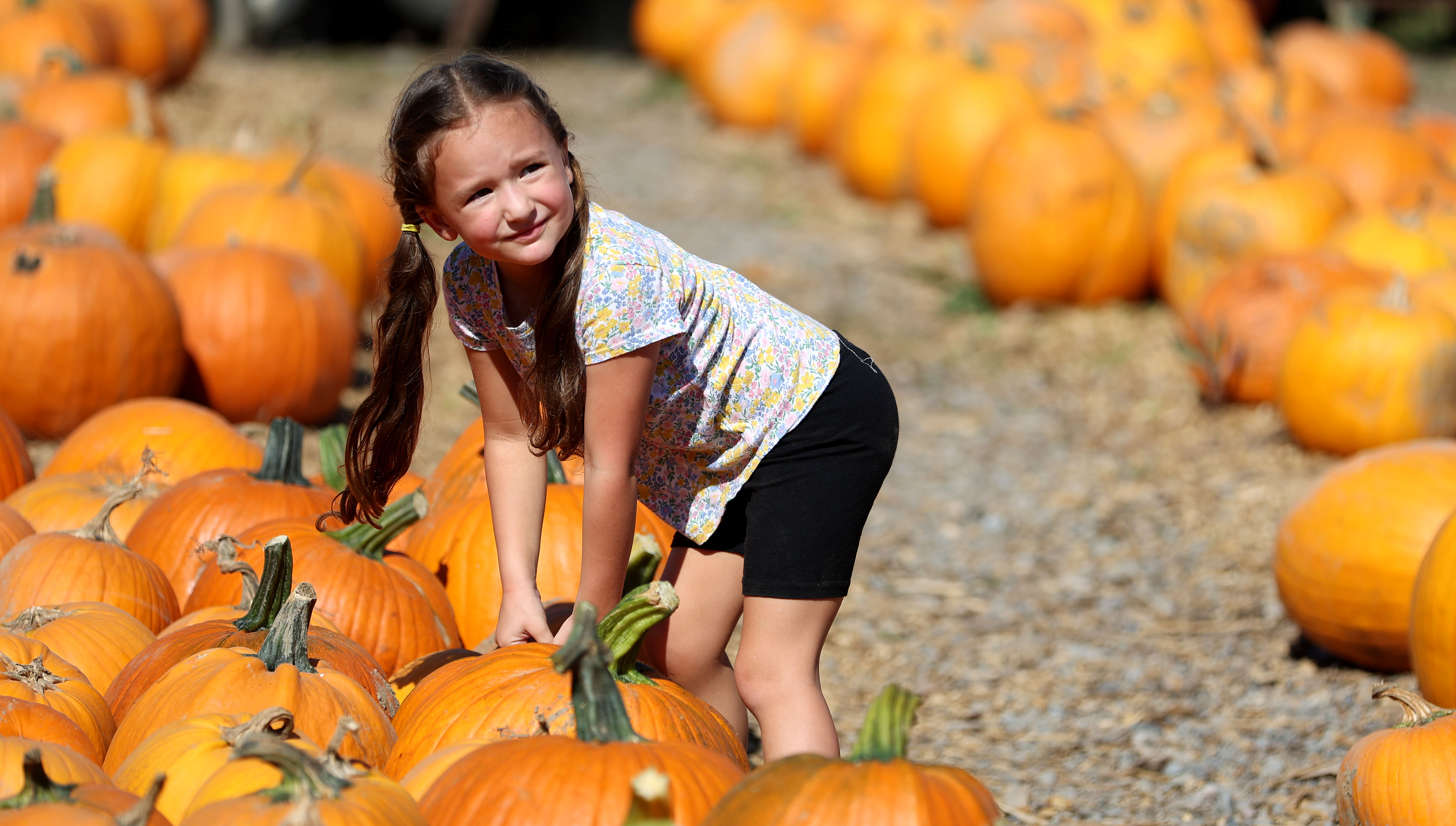 Stretch of October warm weather in Central NY - syracuse.com