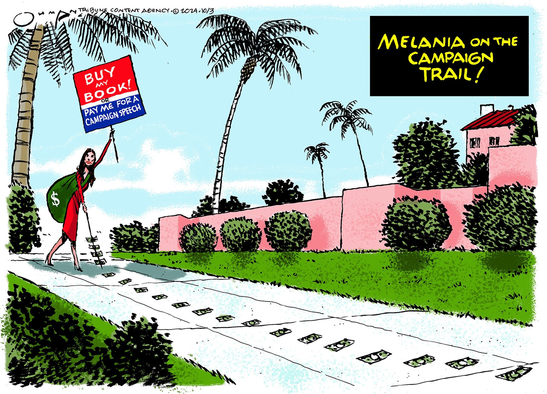 Editorial cartoons for Oct. 6, 2024 - syracuse.com