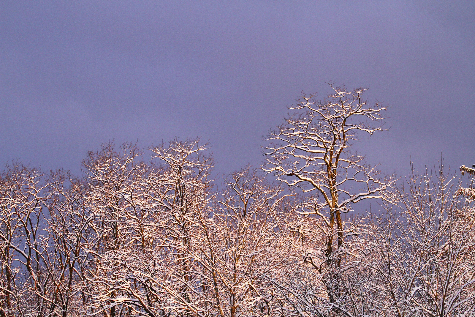 April snowfall in northeast Ohio - cleveland.com