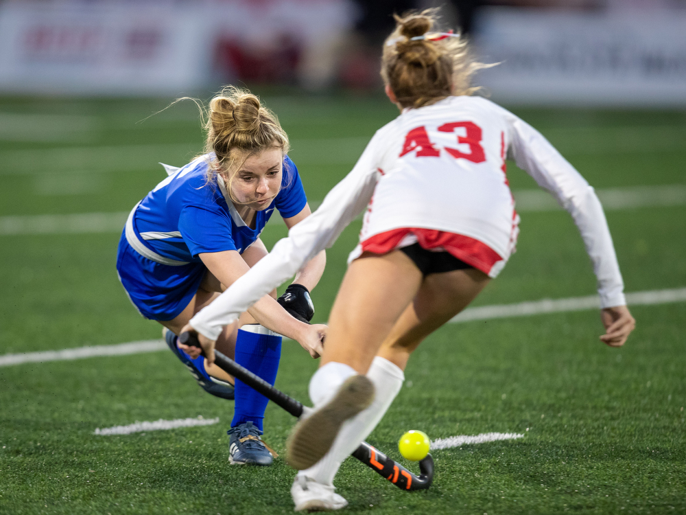Lower Dauphin wins State Field Hockey Championship - pennlive.com