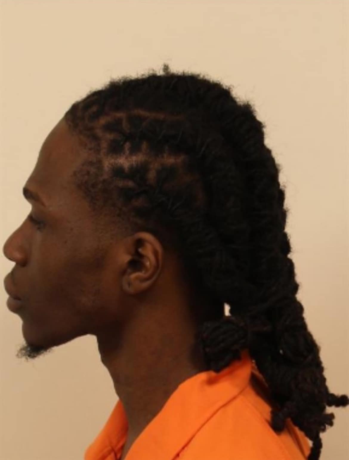 Dejan Belnavis - masslive.com