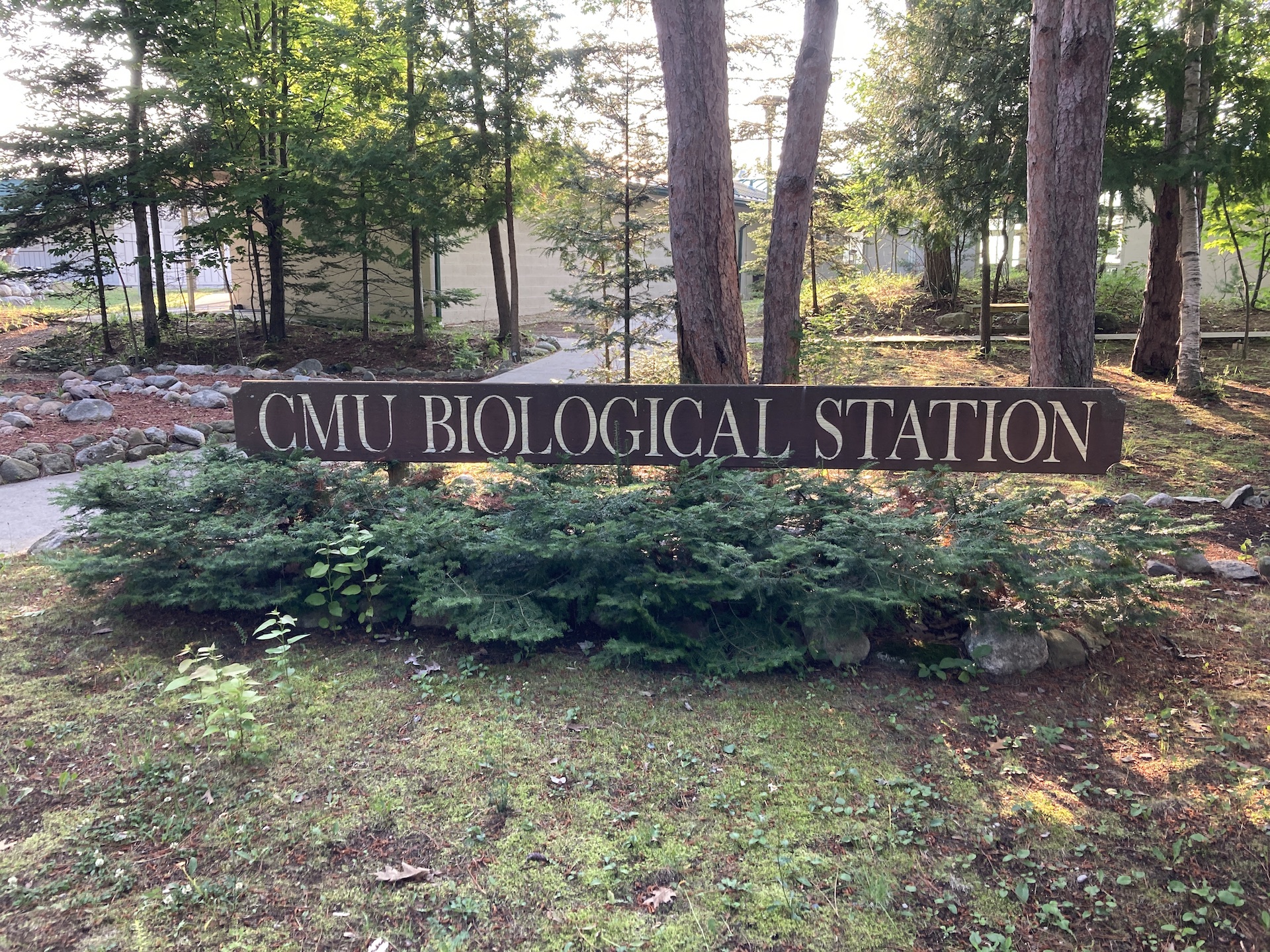 The signs of Beaver Island - mlive.com