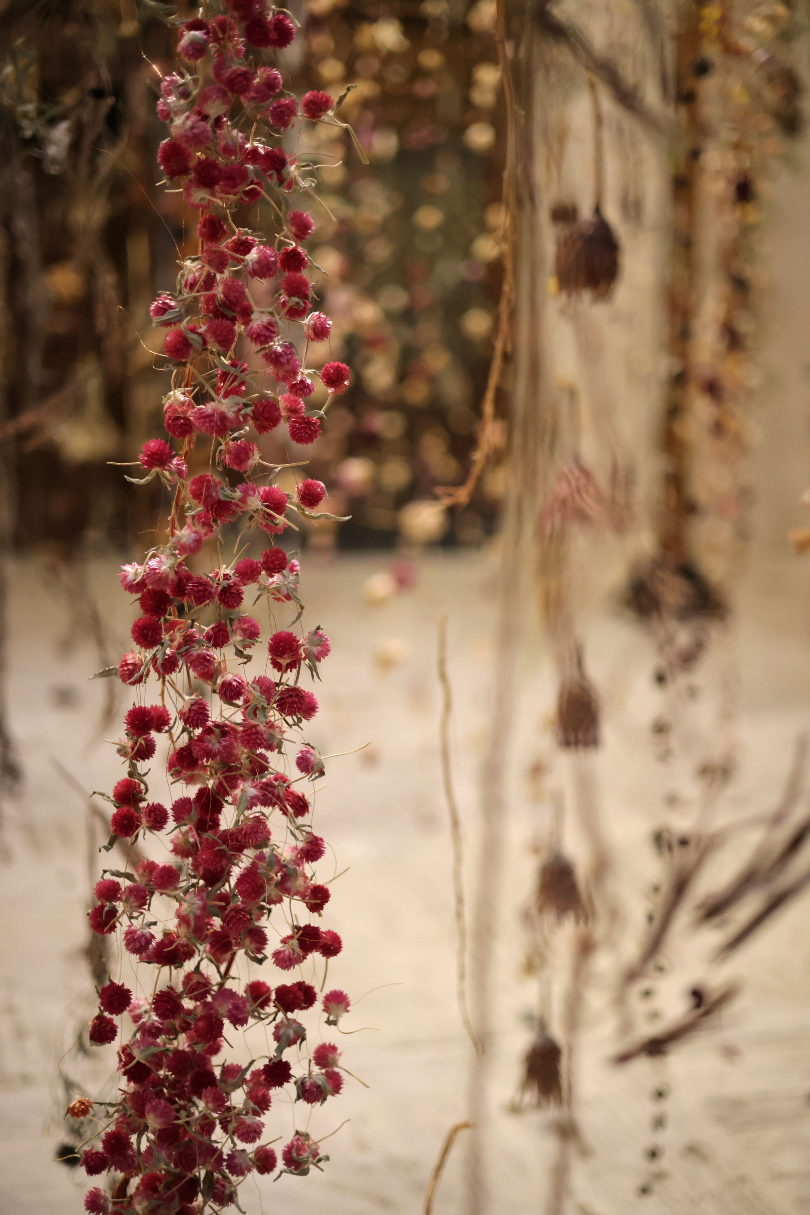 "The Archive" floral exhibit on display in Cleveland - cleveland.com