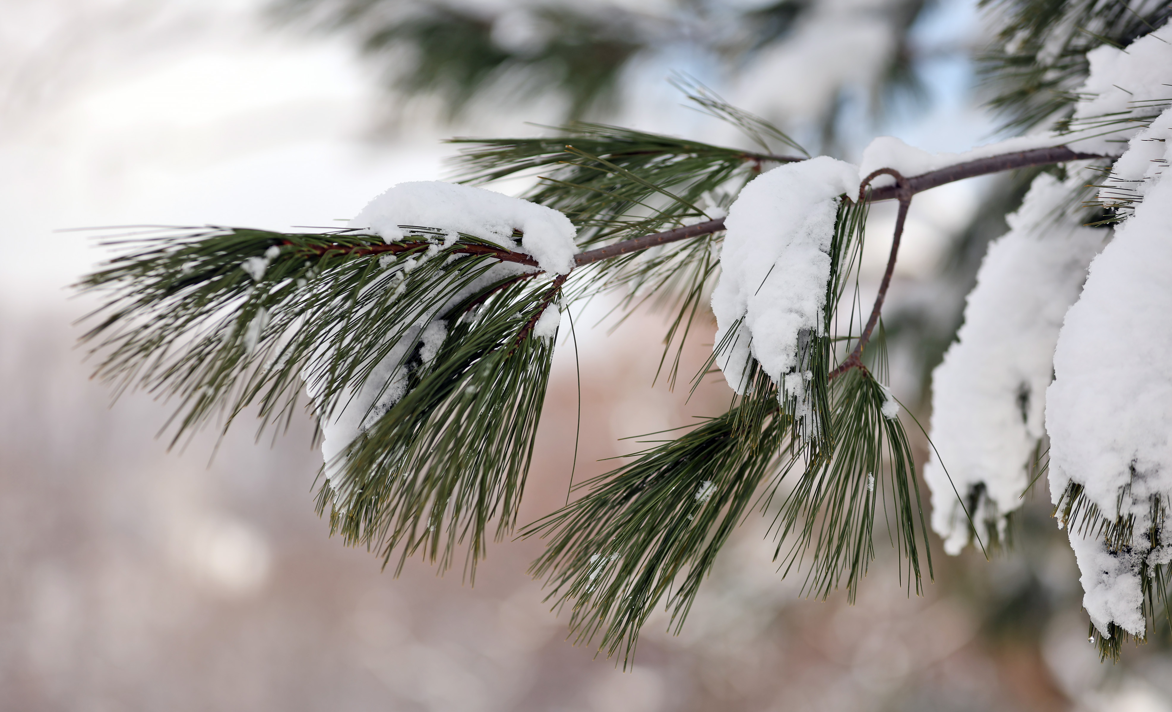 Northeast Ohio winter storm, December 2, 2025 - cleveland.com