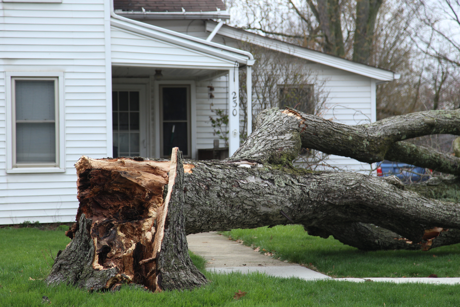 Storm damage caused by overnight storms, April 8, 2020 - cleveland.com