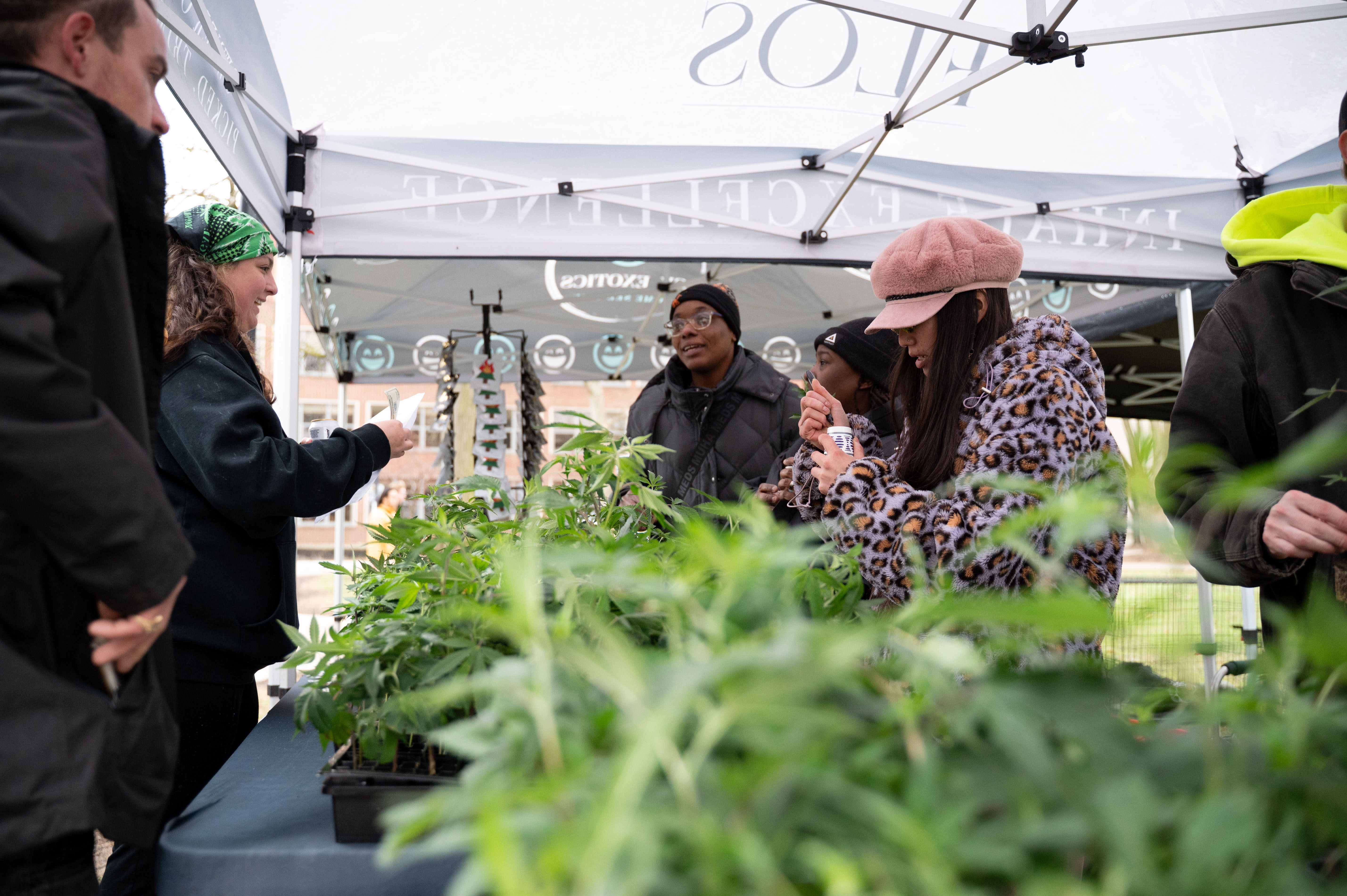 2025 Hash Bash - mlive.com