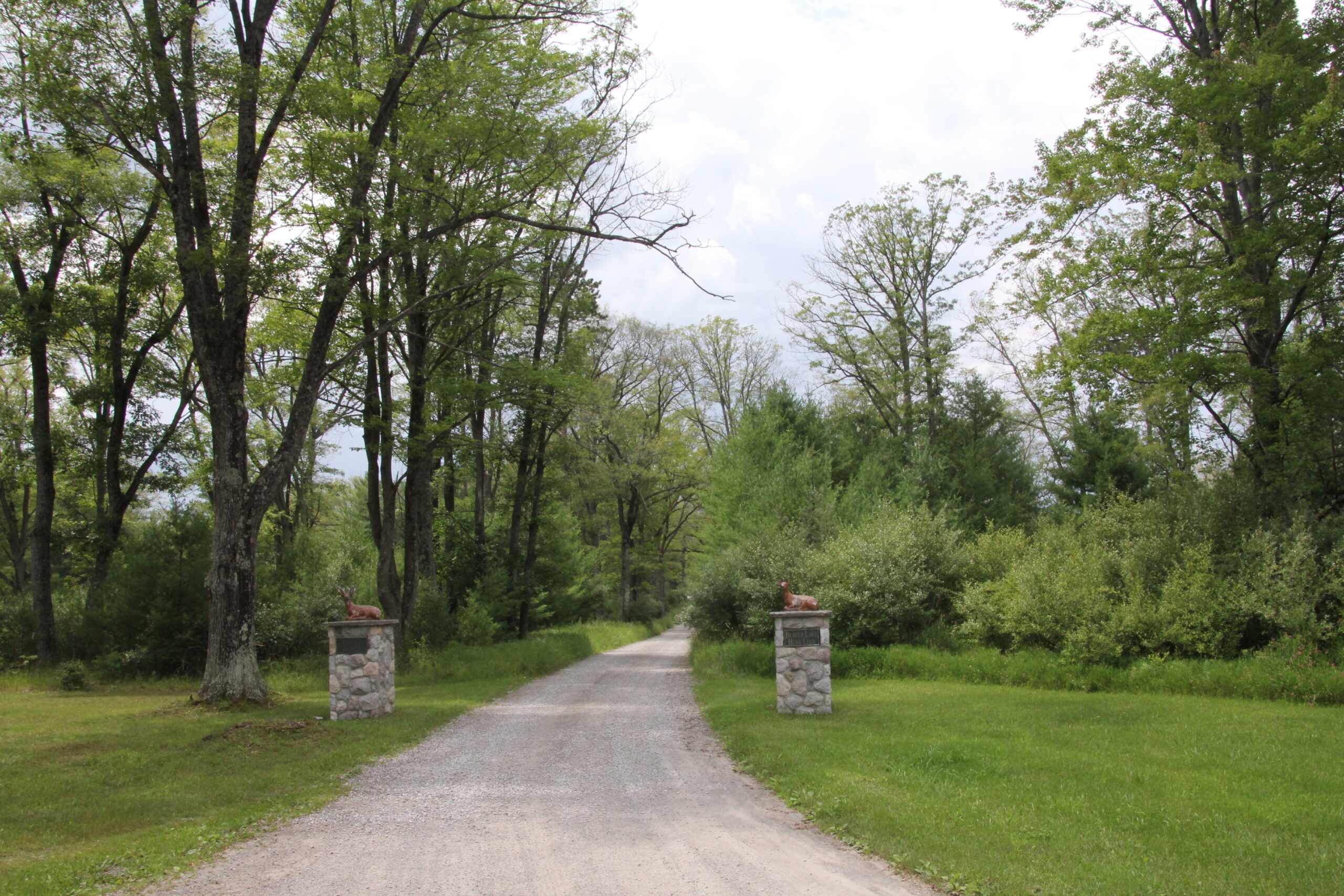 Hunting heaven: 3,000-acre property with near-lakefront lodge hits ...