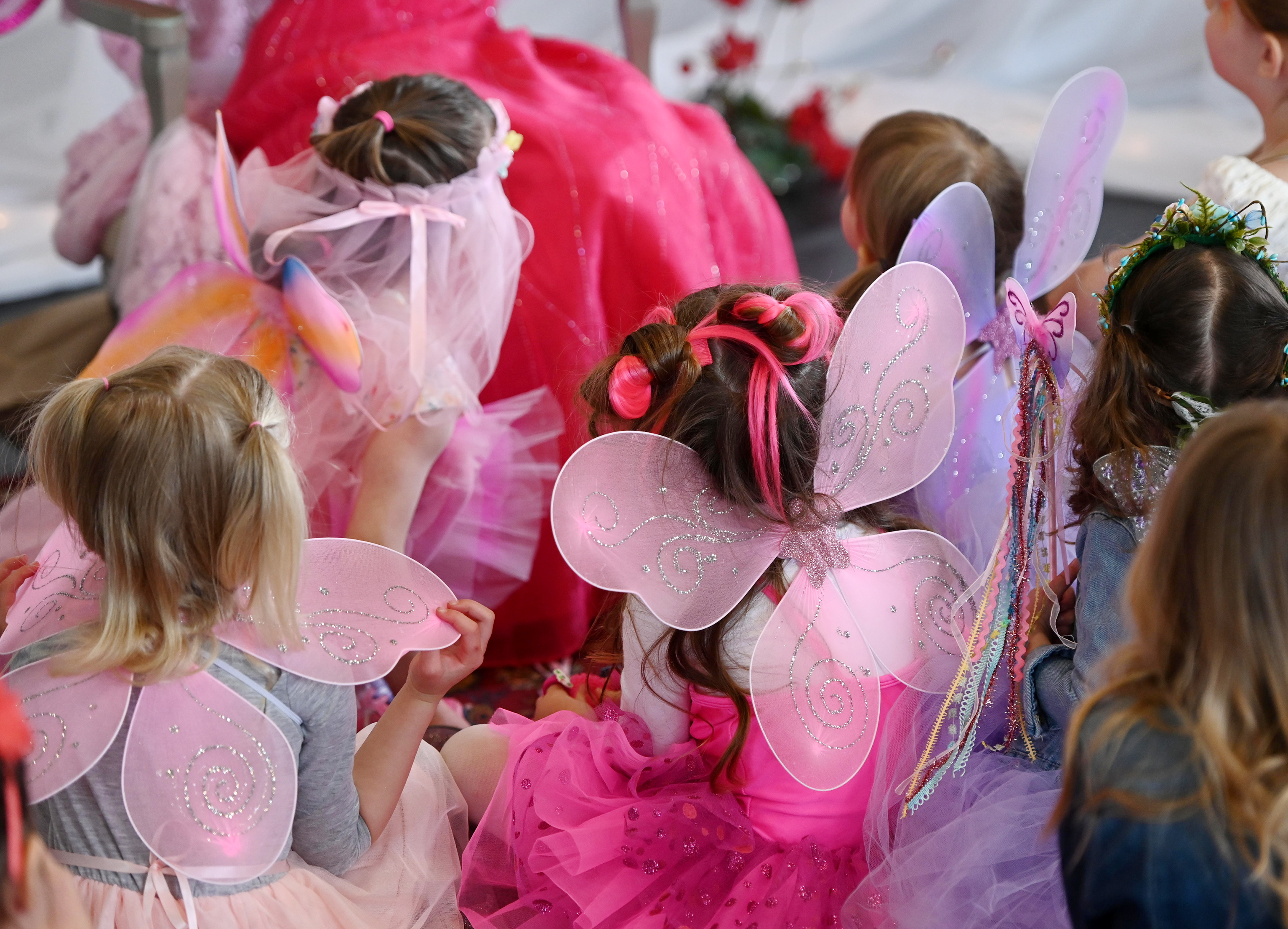 15th annual Fairy Festival in Jackson - mlive.com