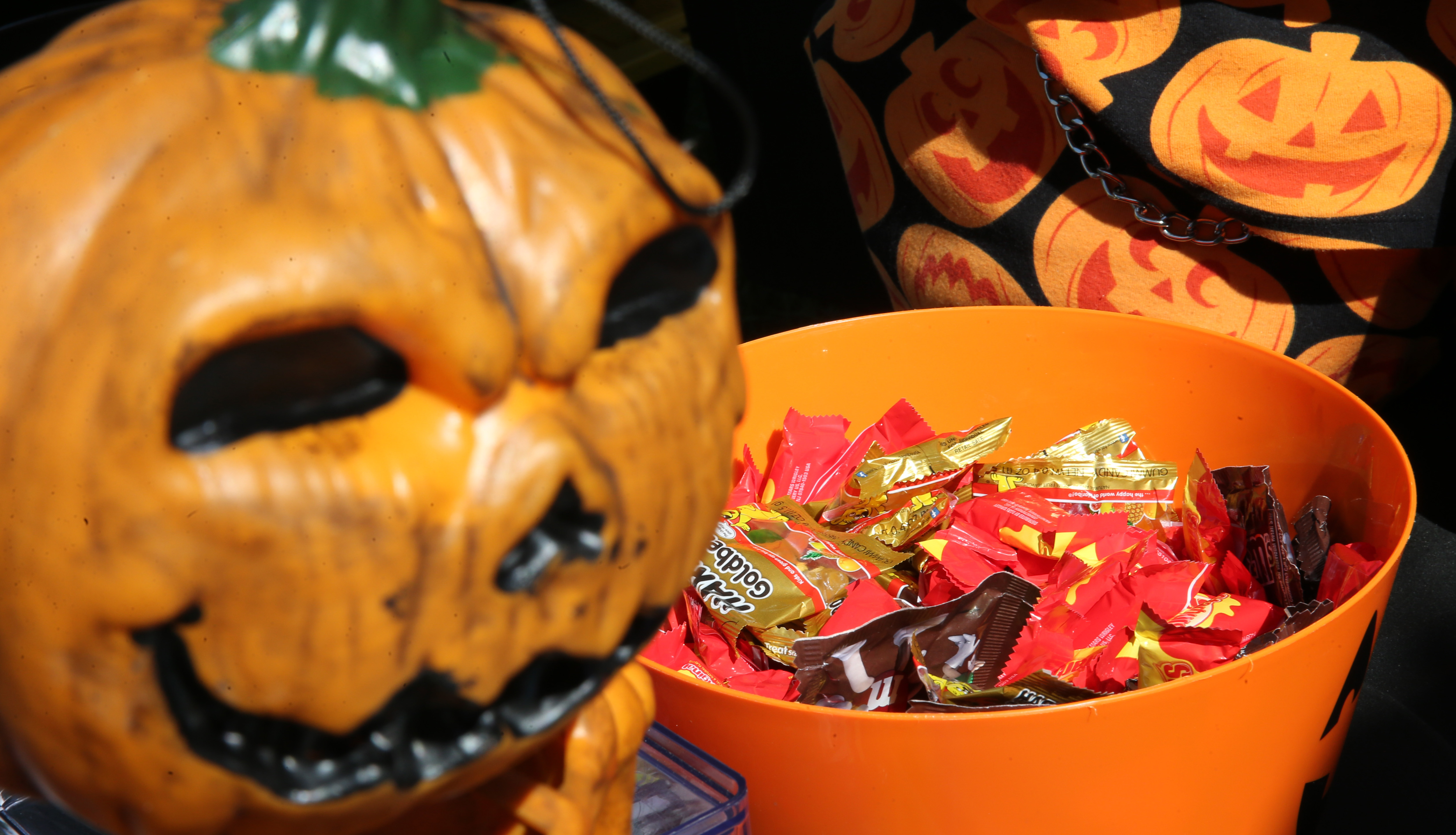 Trick-or-Treat Fest at the Cleveland Metroparks Zoo, October 6, 2024 ...