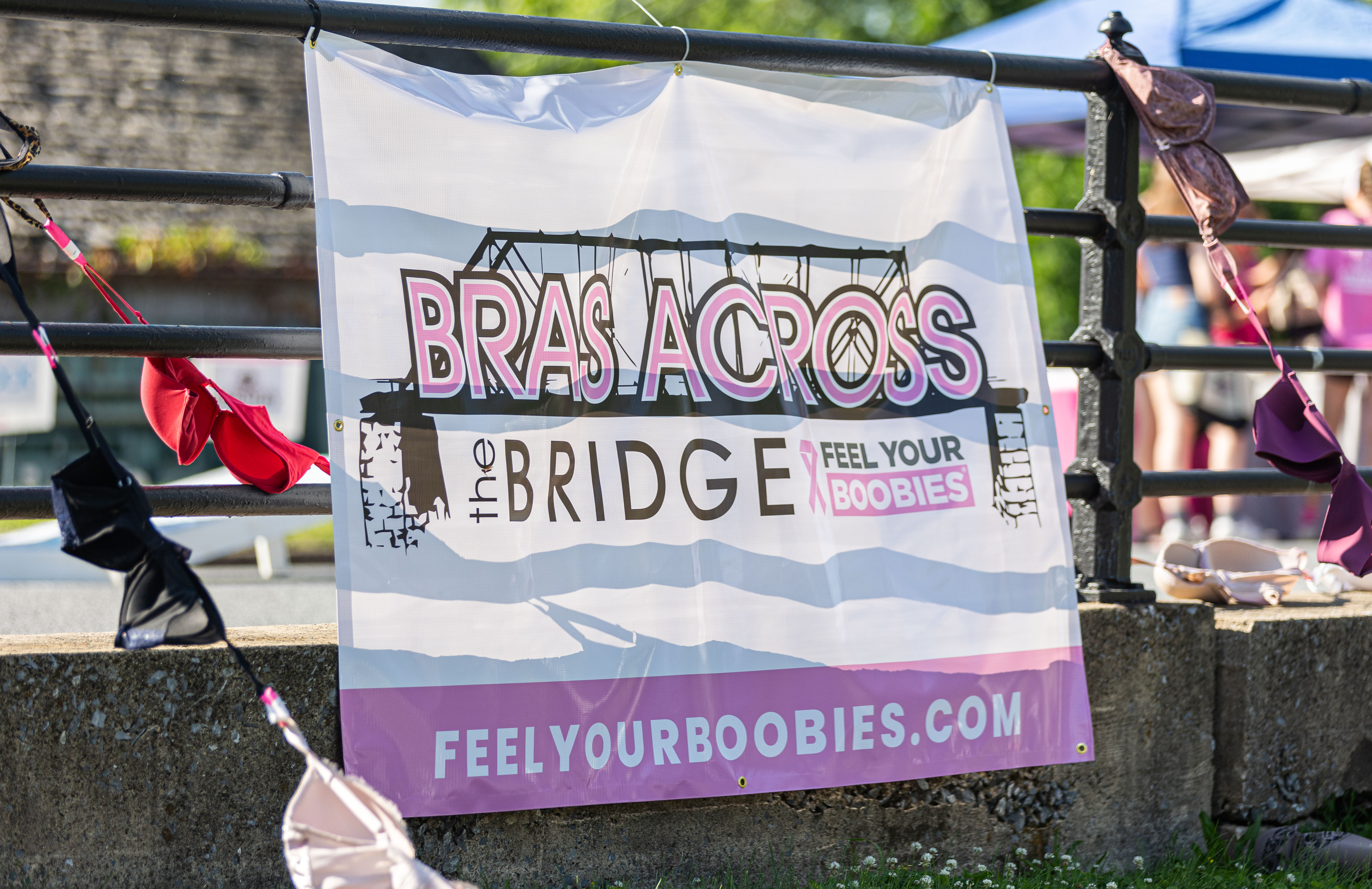 Bras Across the Bridge fundraising event - pennlive.com