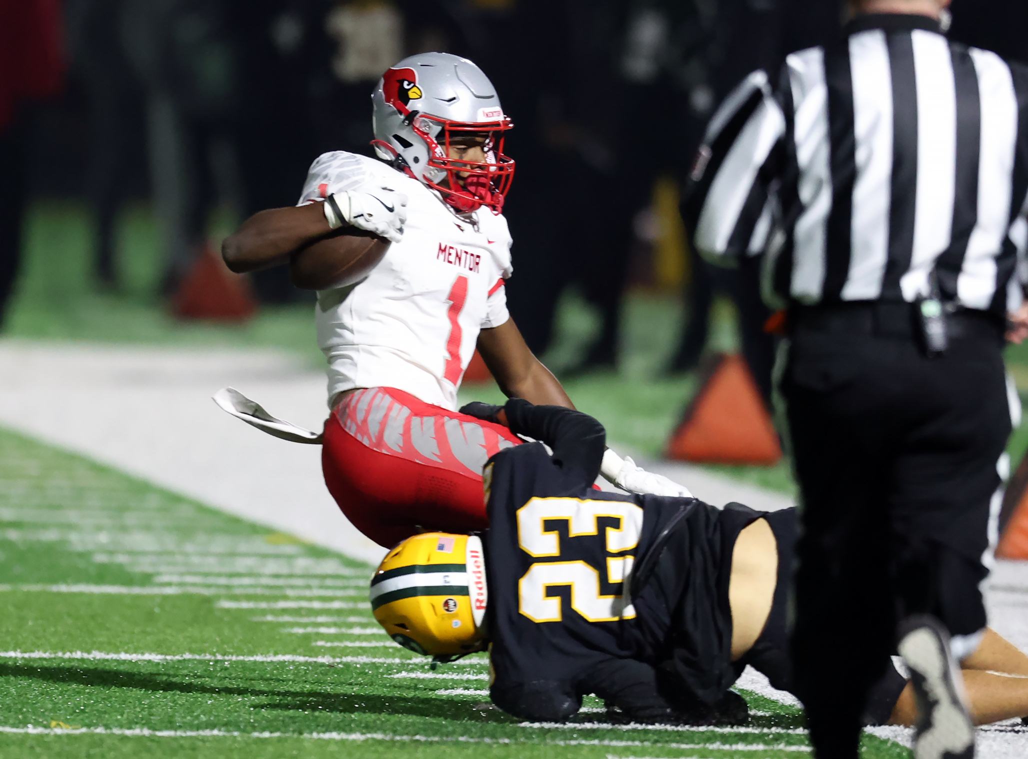 High school football playoffs: St. Edward vs. Mentor, November 21, 2025 ...