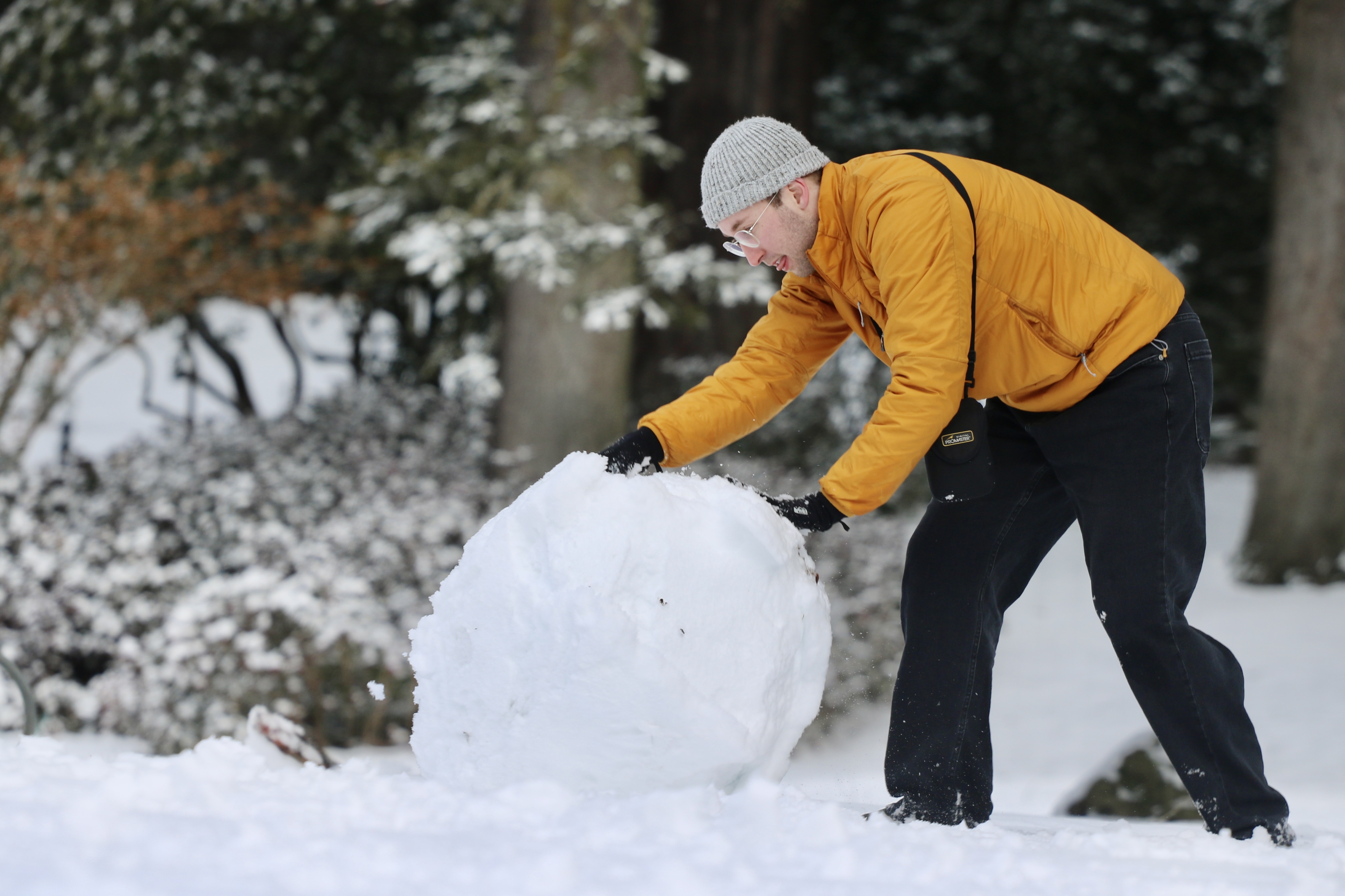 Valentine's Day snow in the Portland area - oregonlive.com