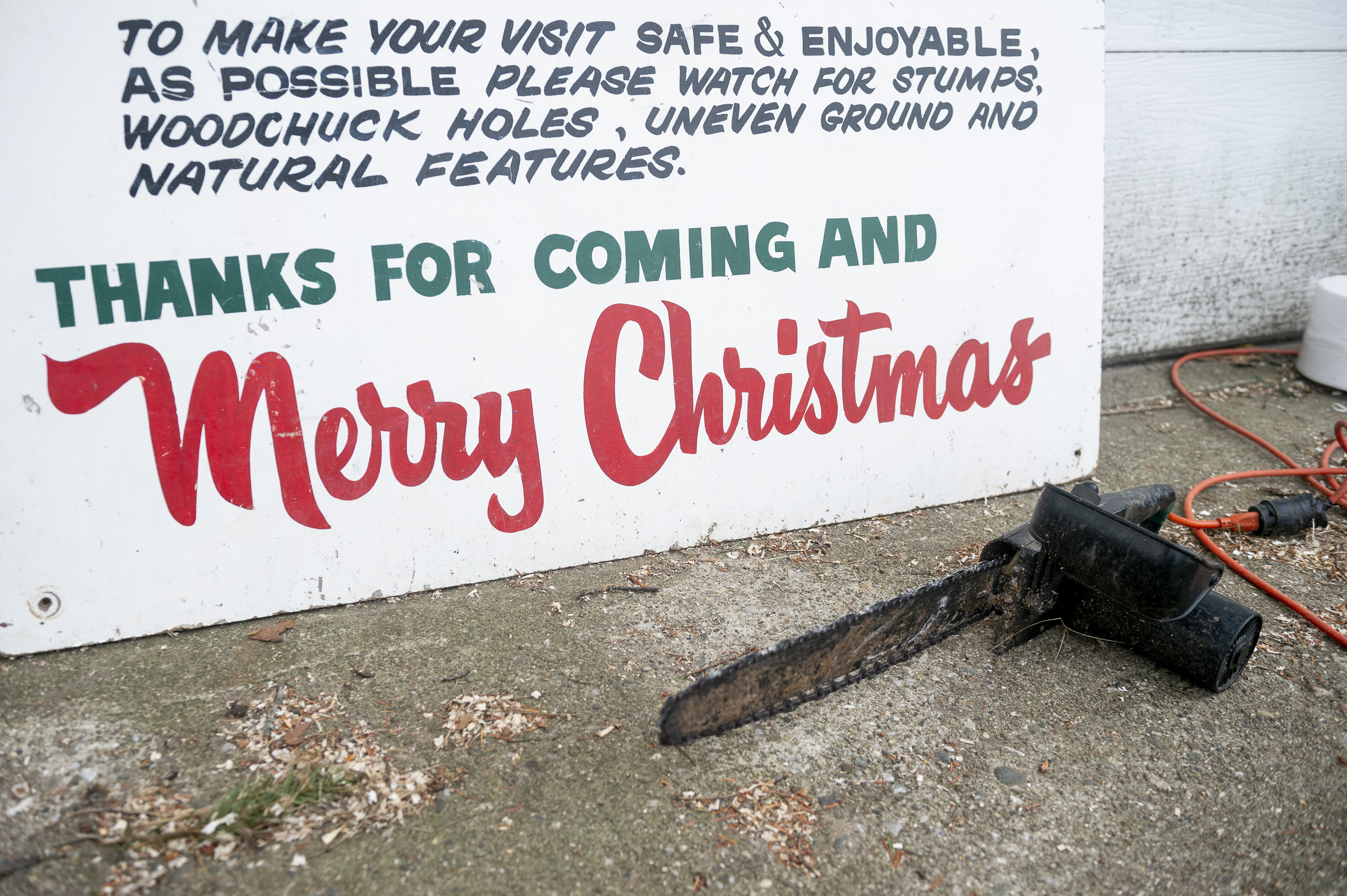 Arend Tree Farm continues four-generation tradition of Christmas U-Cut ...