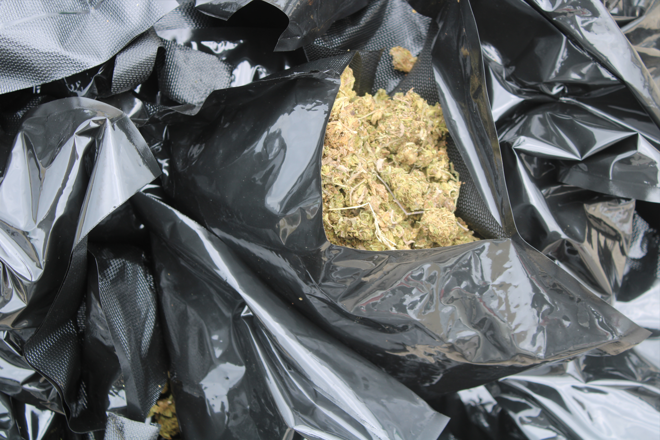 Bay City police arrest Wisconsin men with $82K in marijuana products ...