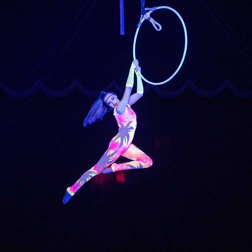 The circus comes to Harrisburg - pennlive.com