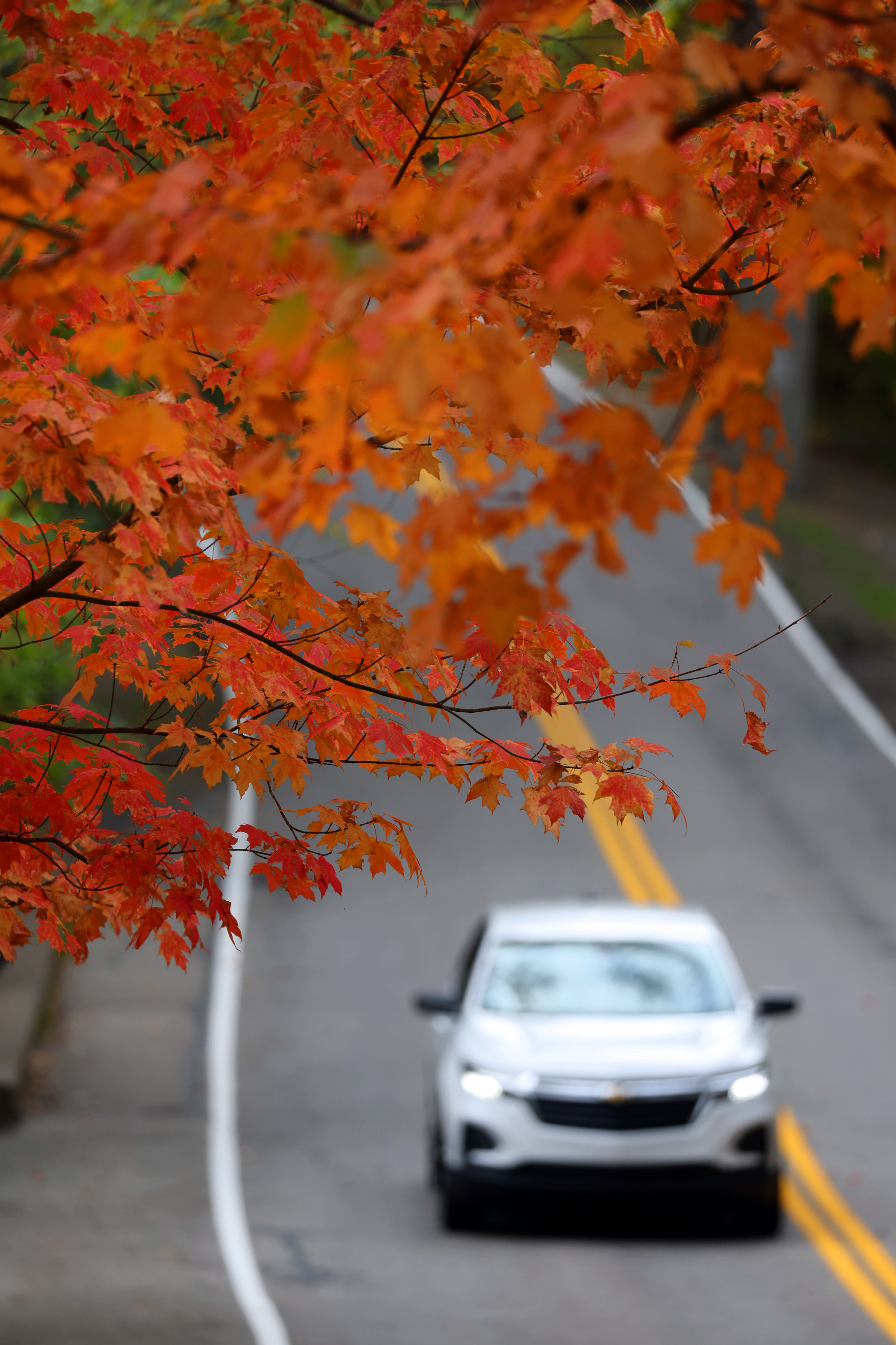 Fall colors begin to show around Northeast Ohio, October 15, 2025 ...